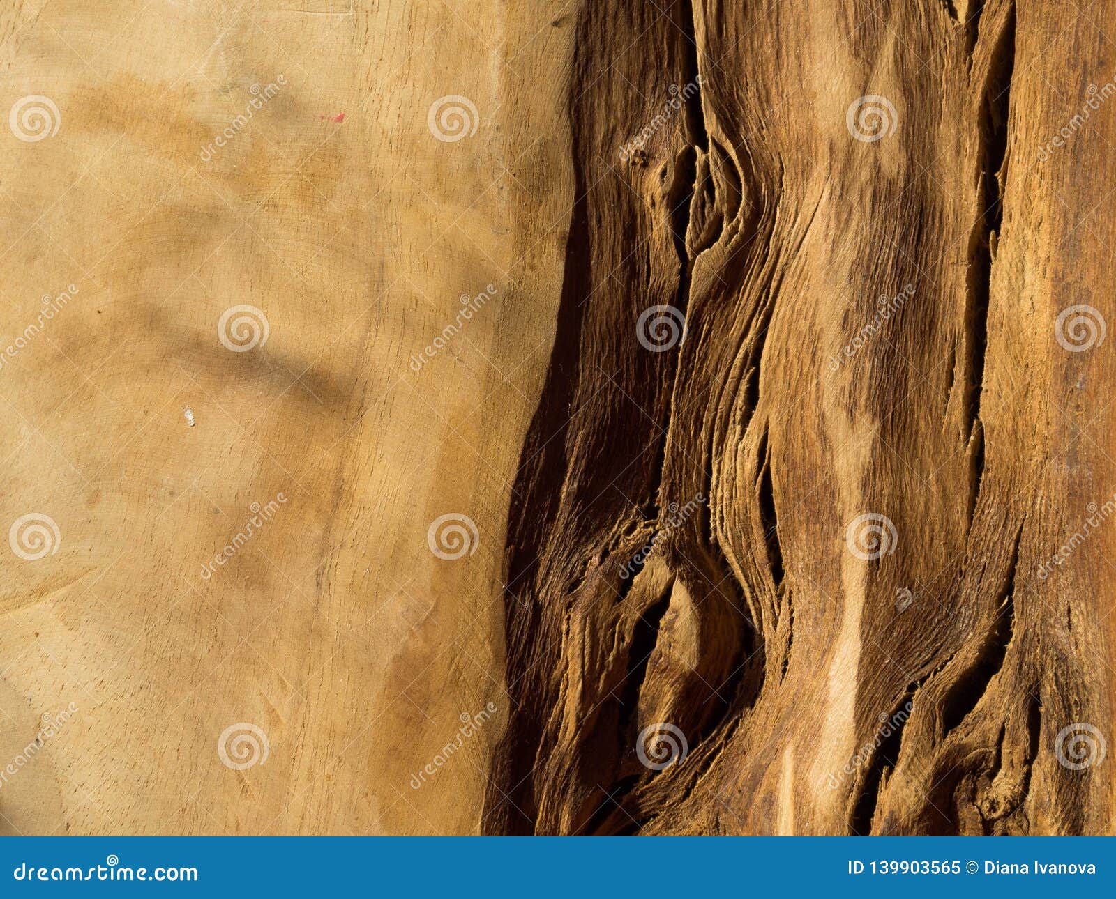 The Texture of the Natural Vintage Rustic Solid Wood. Background Stock ...