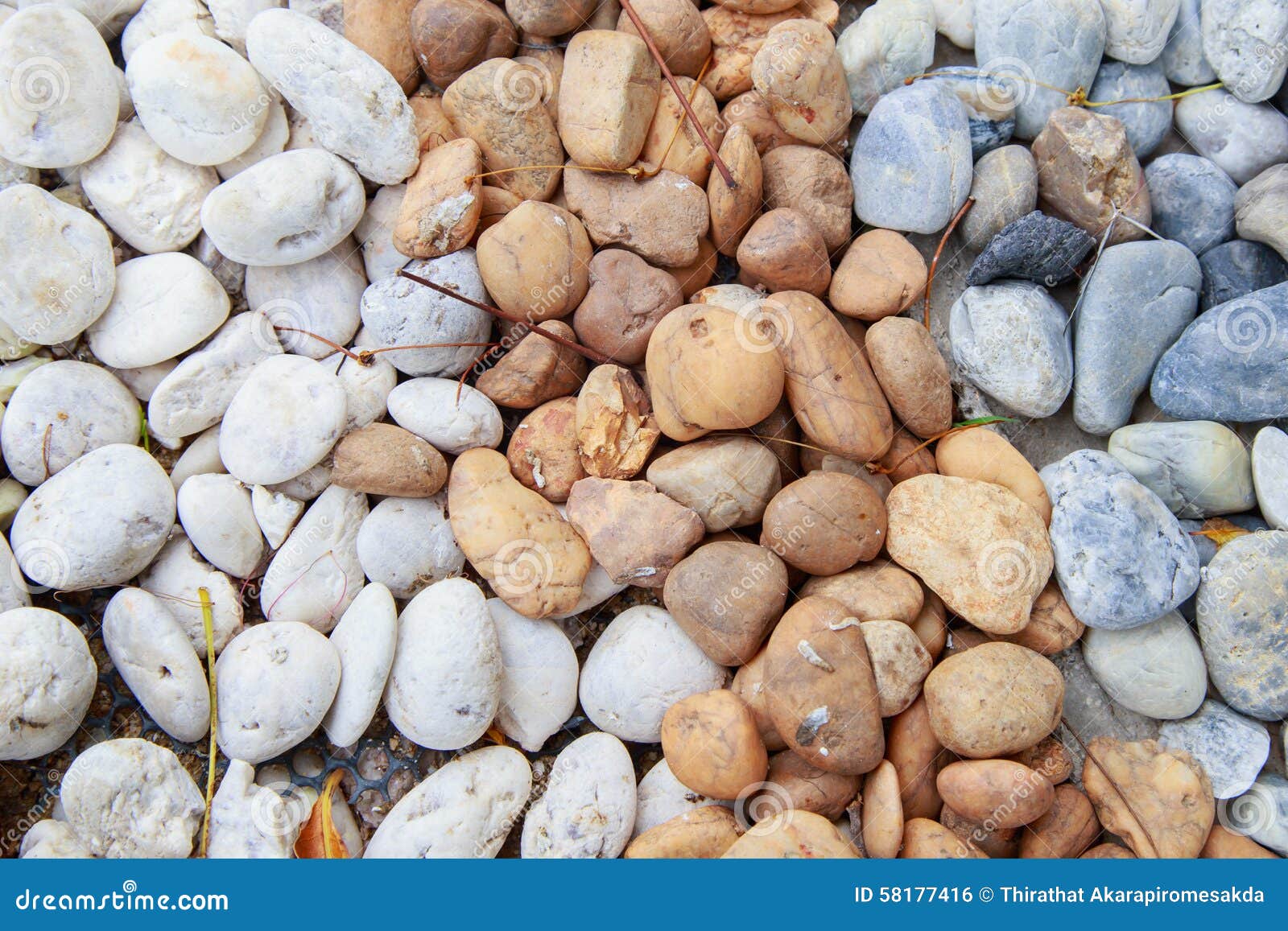 Texture of Nature River Rock Stone Stock Photo - Image of varicolur ...