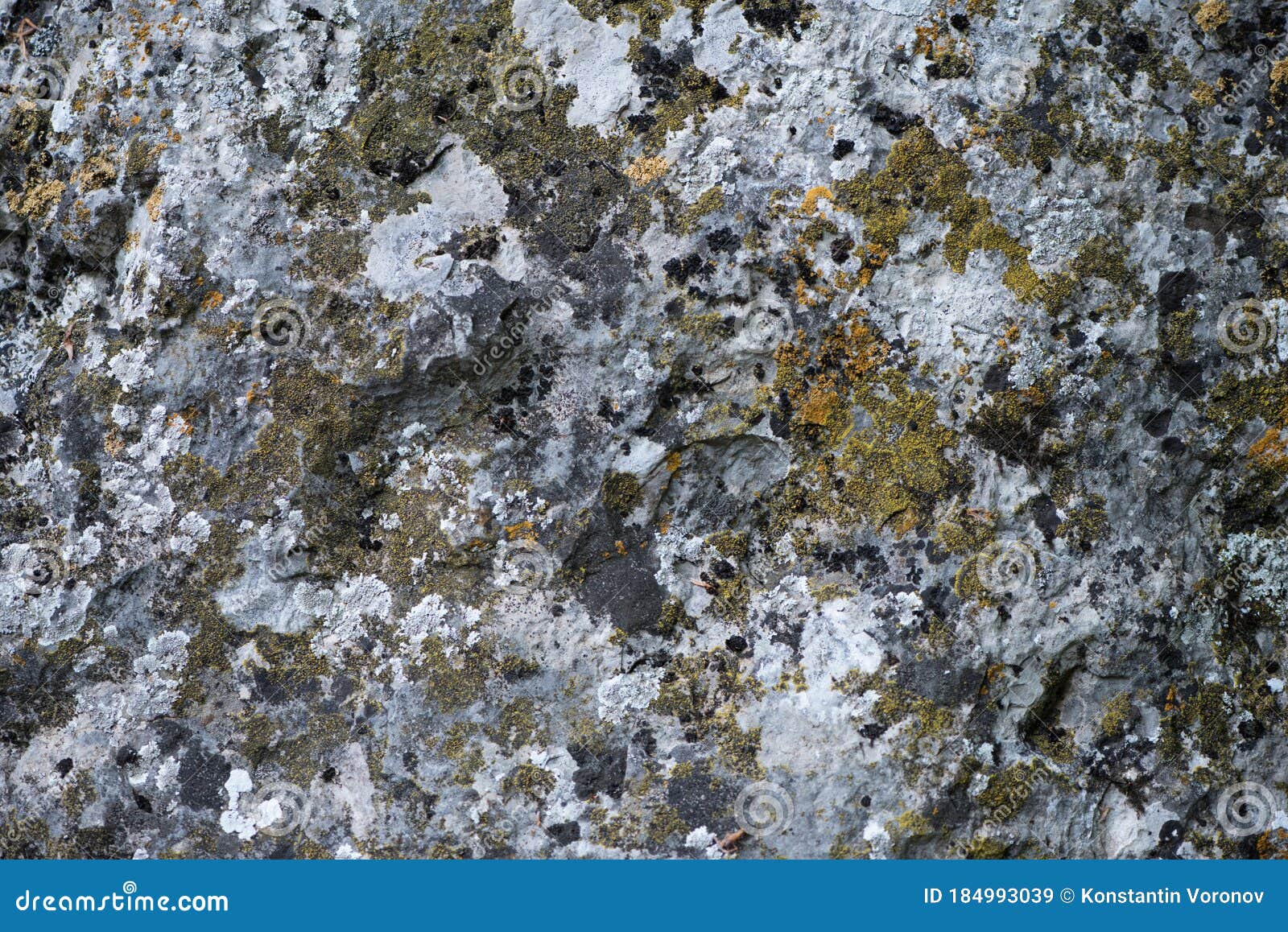 Texture Naturelle De Roche Avec Le Lichen Image stock - Image du ...