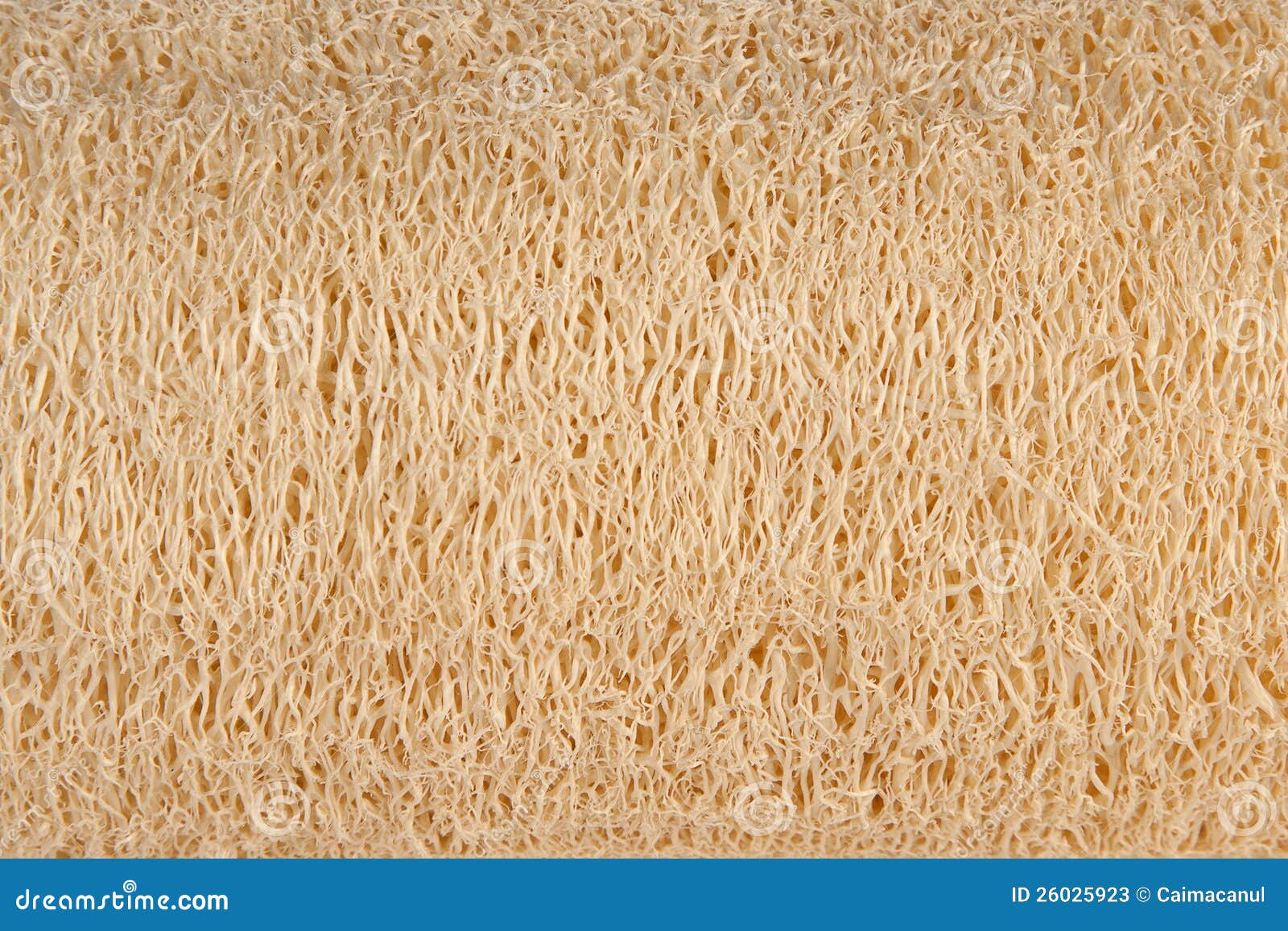 Texture Normale D'éponge De Lof Image stock - Image du matériel, détail ...