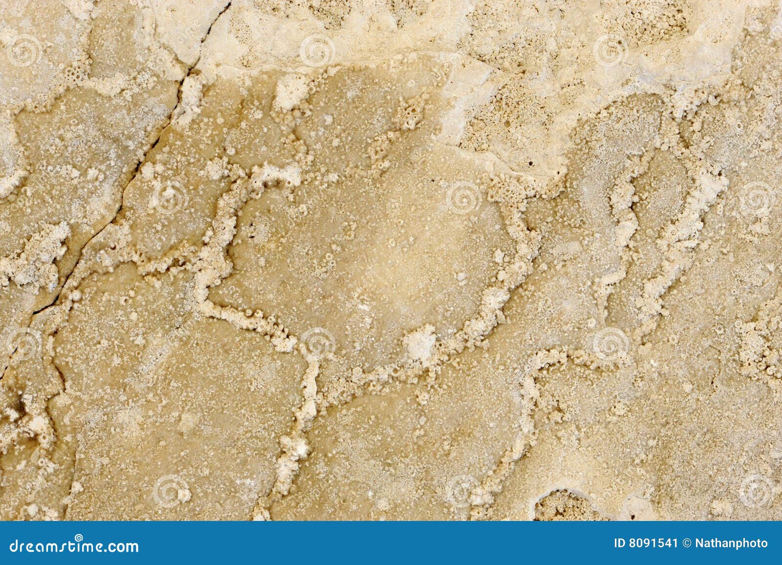 Texture normale de roche image stock. Image du veines - 8091541