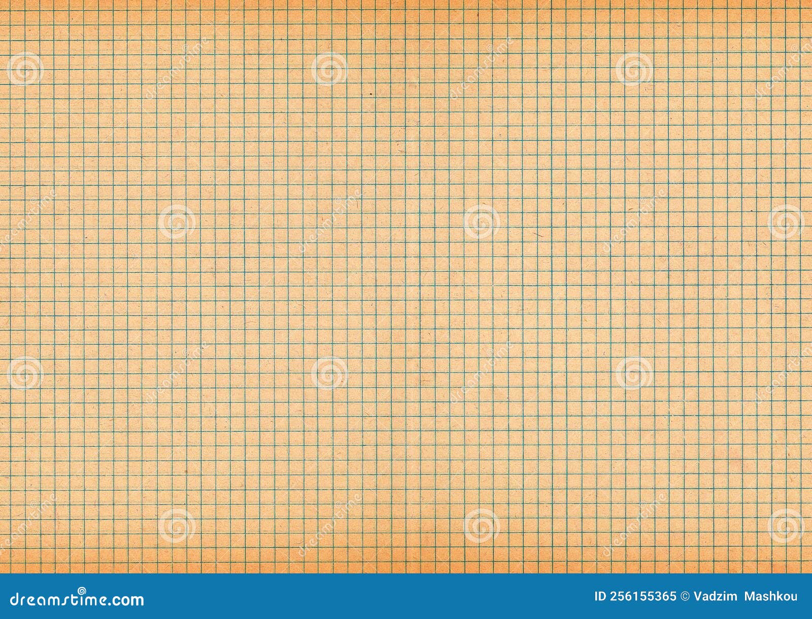 The Texture of the Notebook in a Cage. Background from a Sheet with ...