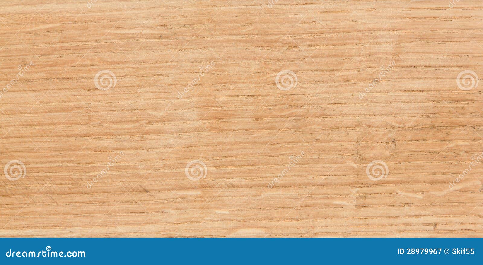 Texture of oak stock image. Image of history, annual - 28979967