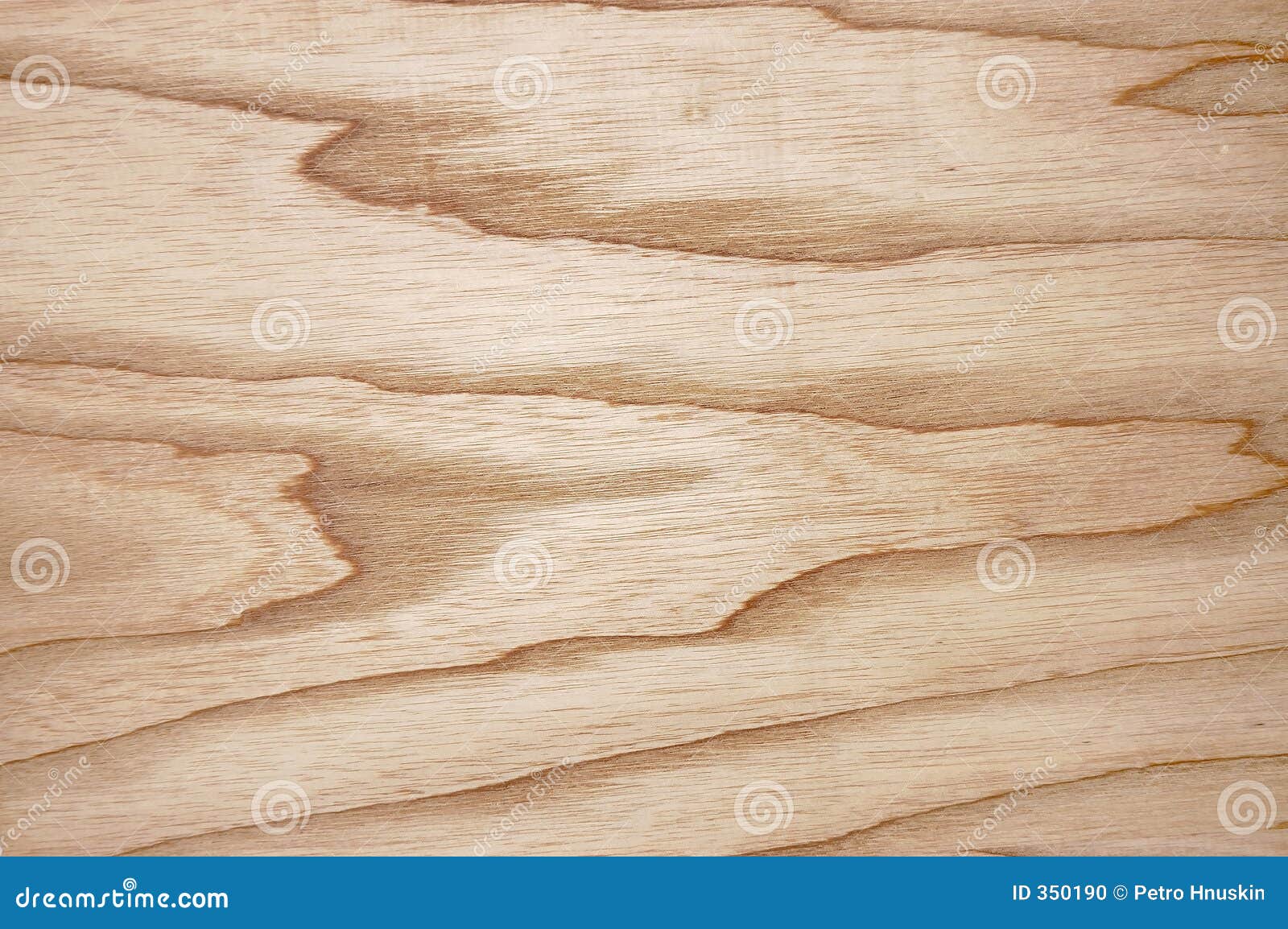 Texture Of An Oak For A Background. Stock Photo - Image: 350190