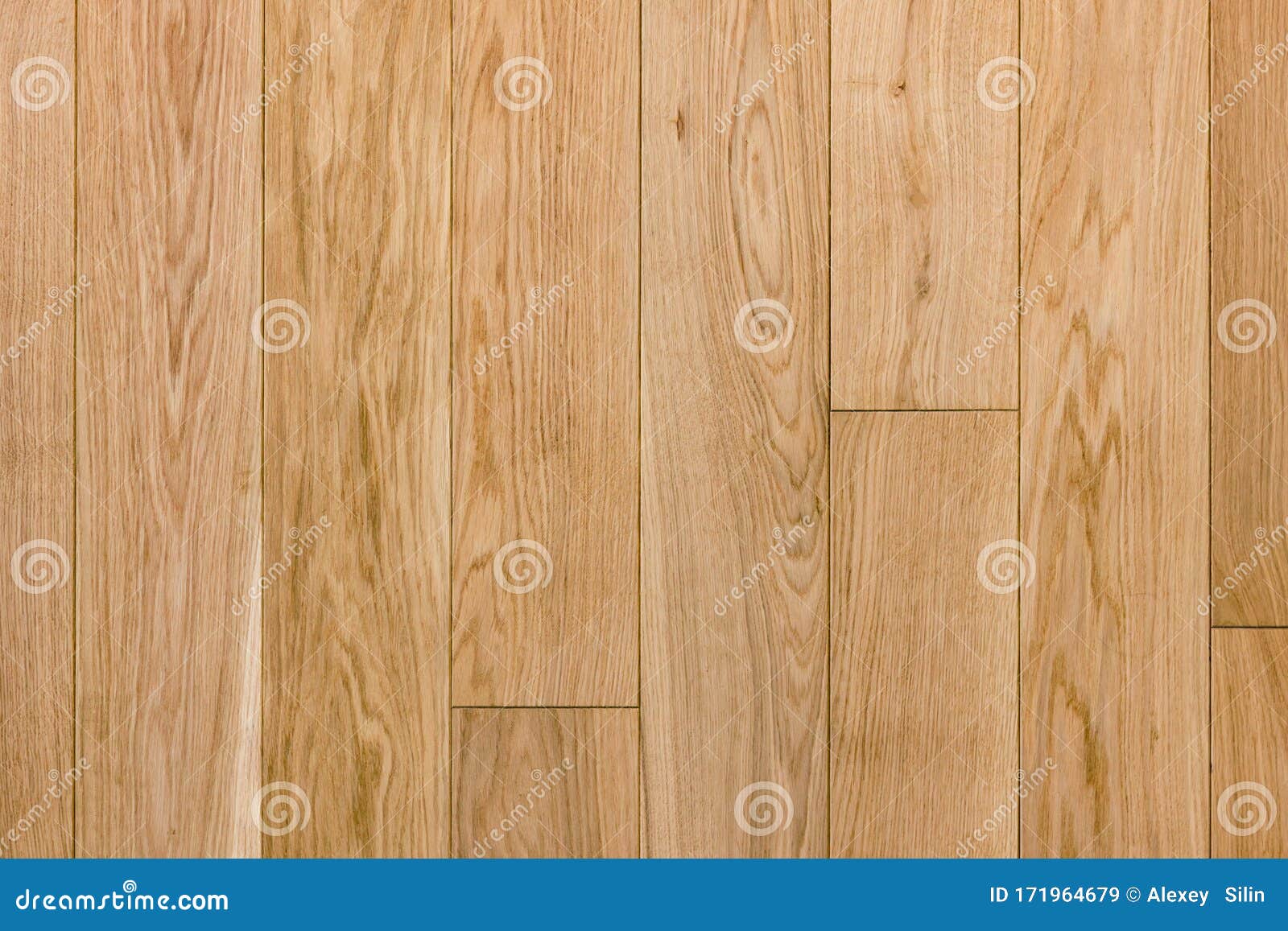 Texture Of Oak Parquet, Top View. Light Oak Planks Background. Royalty ...
