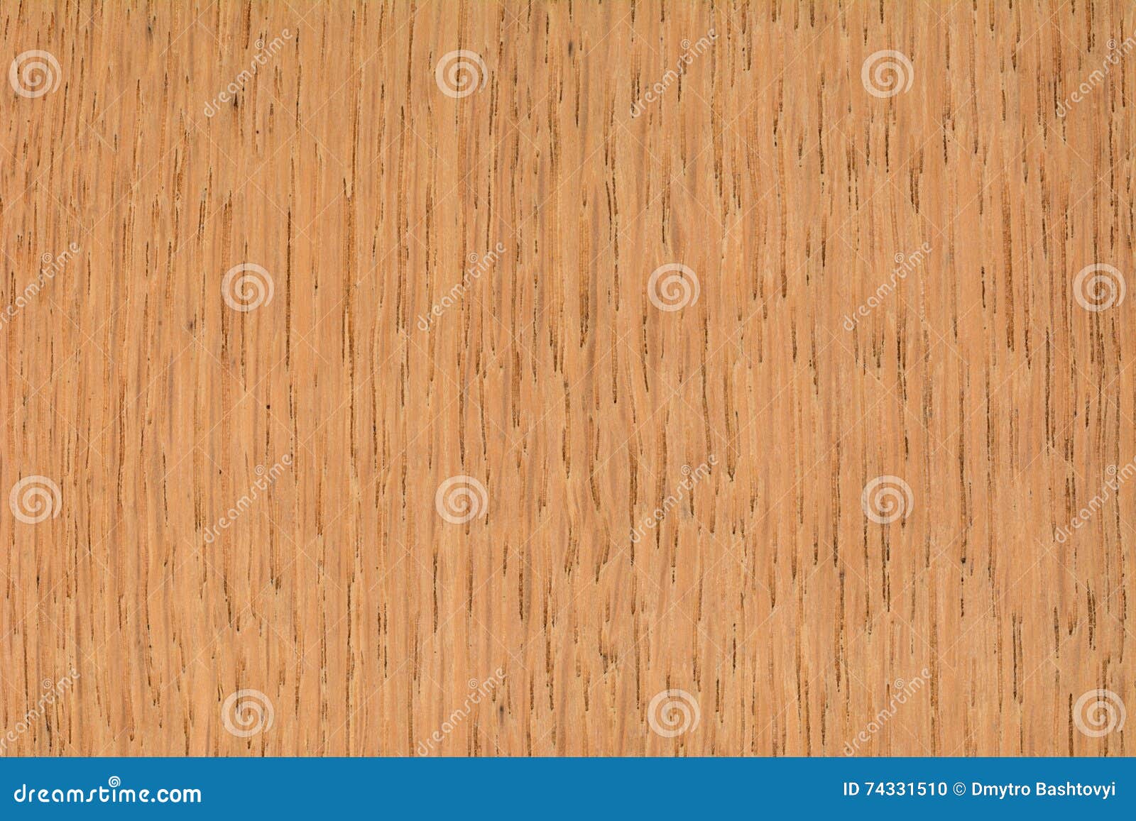 Texture of the Oak Plank, Close Up Stock Photo - Image of wooden ...