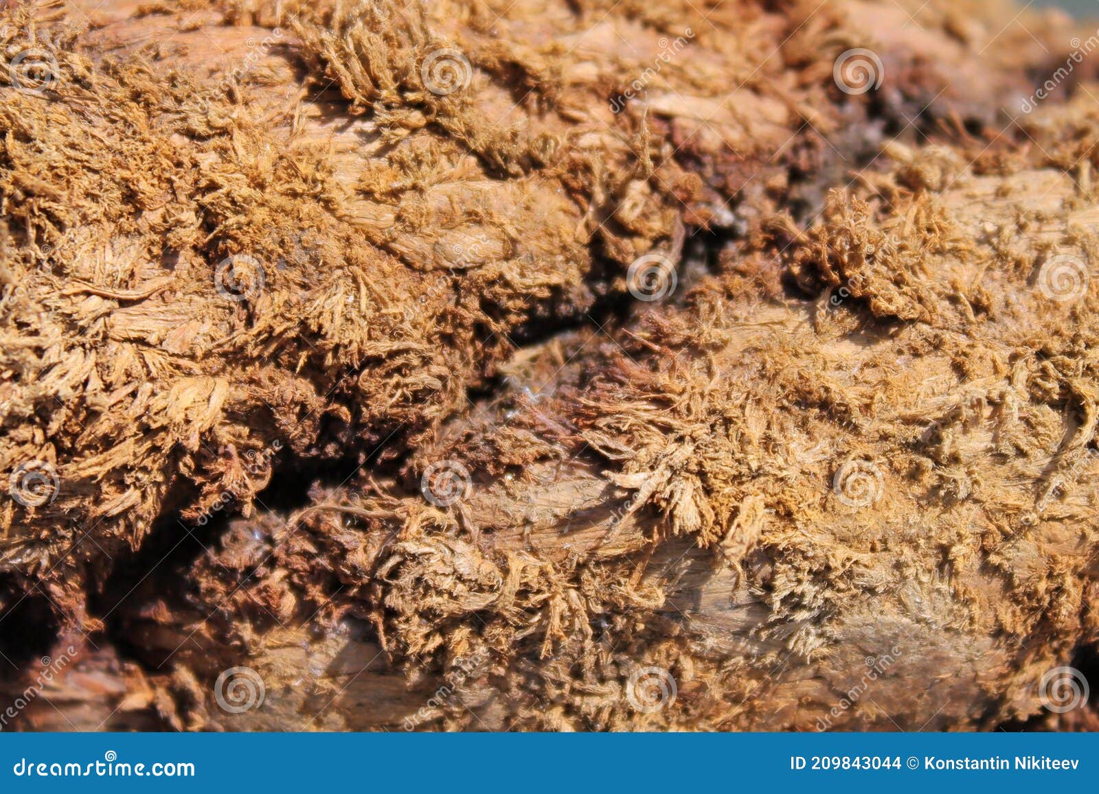 Texture of Old Ancient Rotten Rope Stock Photo - Image of orange ...