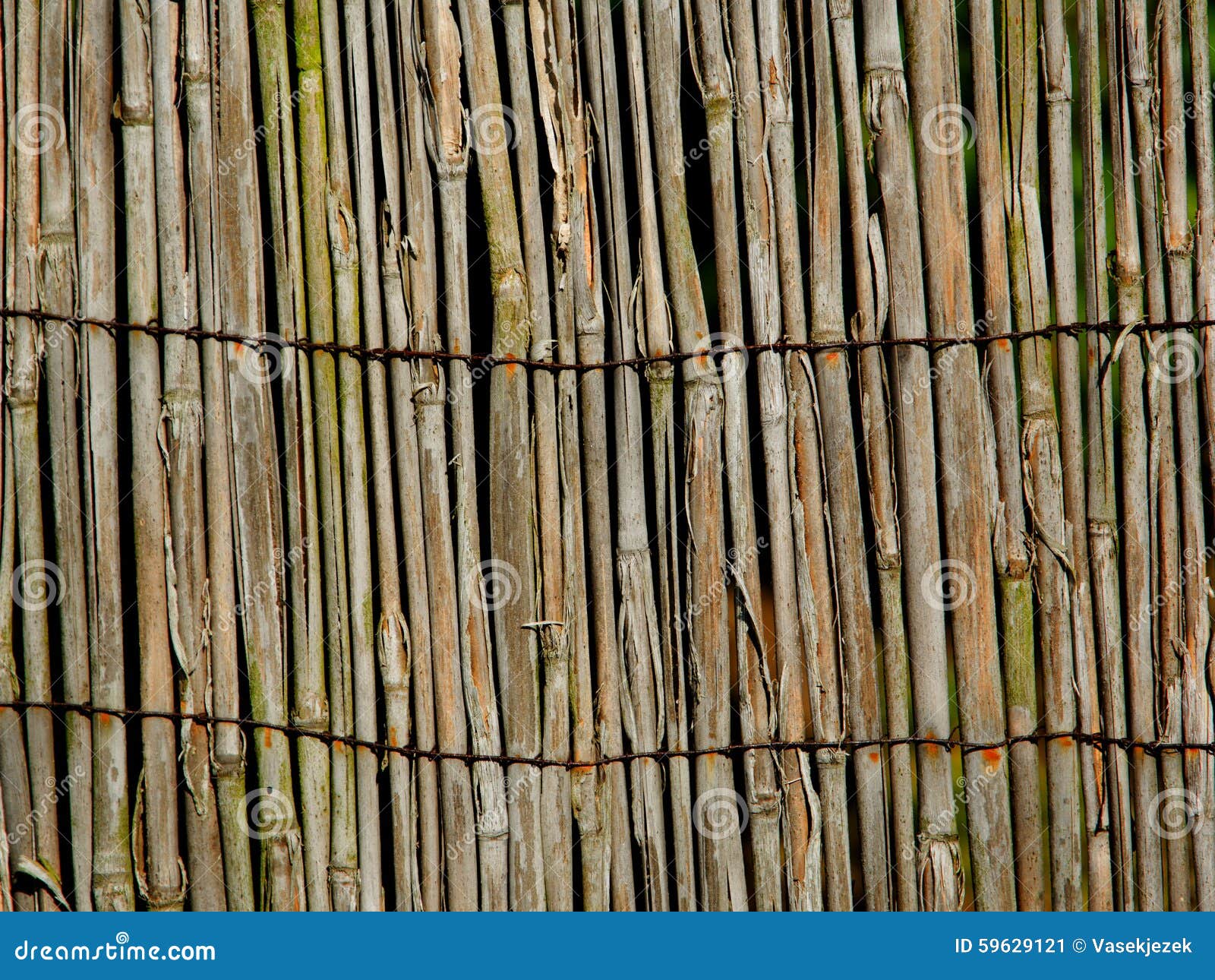 Reed Fence Old Bamboo Texture Stock Image - Image of wire, rust: 59629121