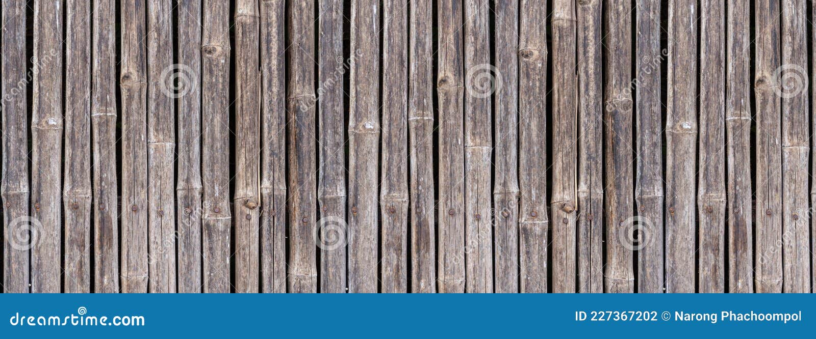 Texture of old bamboo stock photo. Image of decor, branch - 227367202