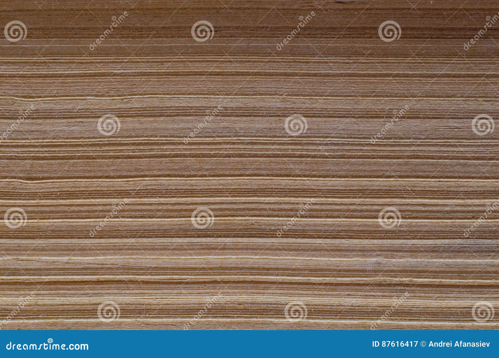 Texture of old book pages stock image. Image of novel - 87616417