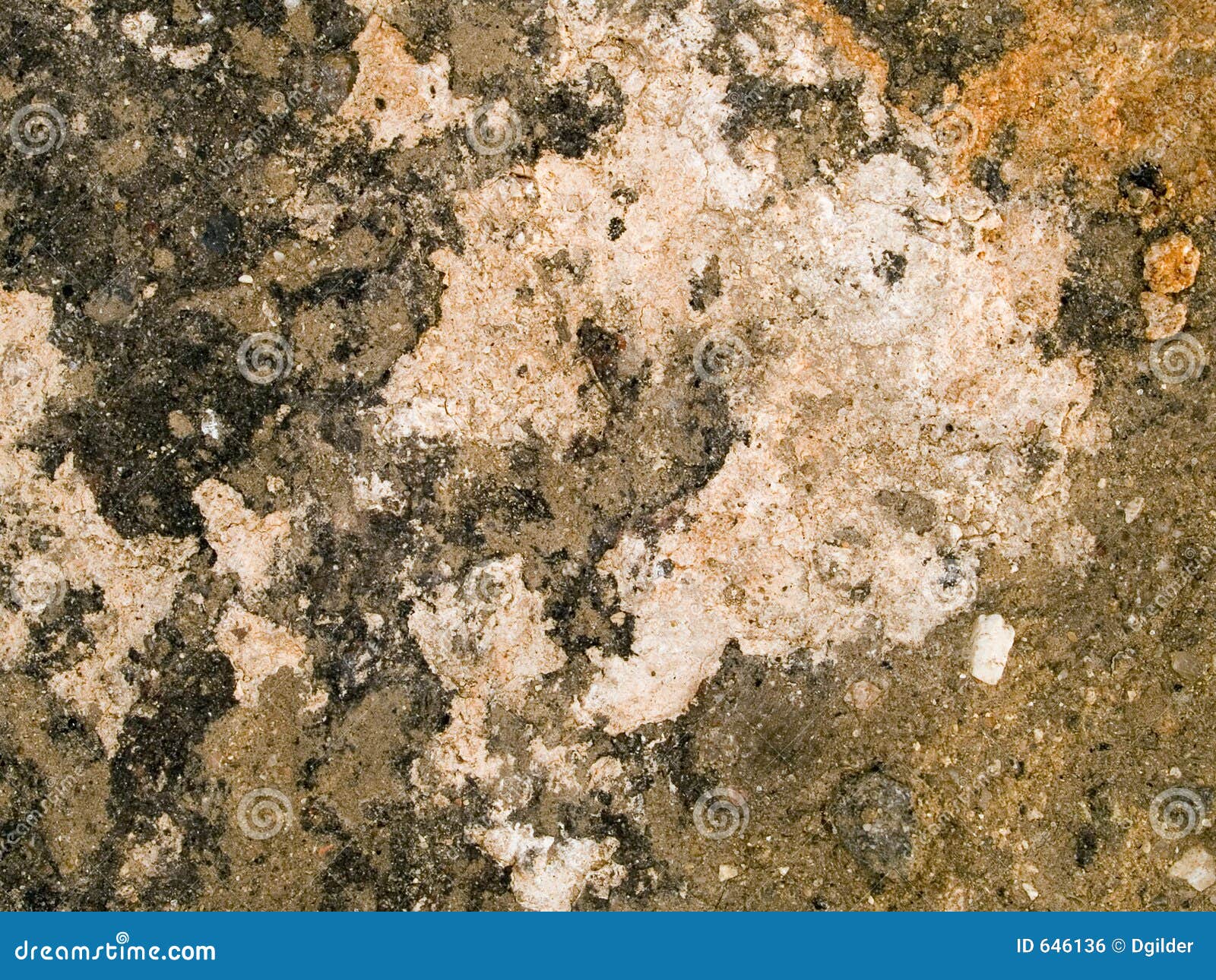 Texture of old concrete stock photo. Image of irregular - 646136