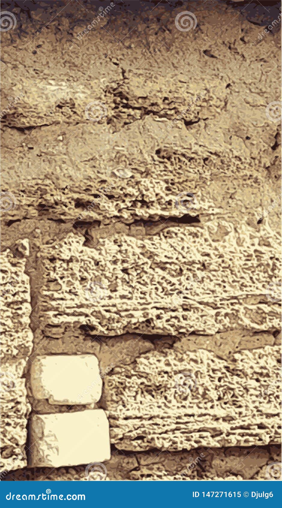Texture from Old Coquina Limestone Brown Wall. Surface Texture of ...