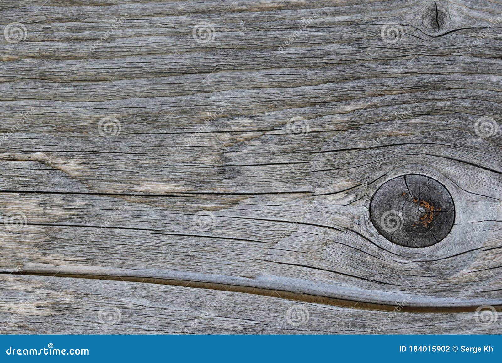Cracked board with knots stock photo. Image of abstract - 184015902