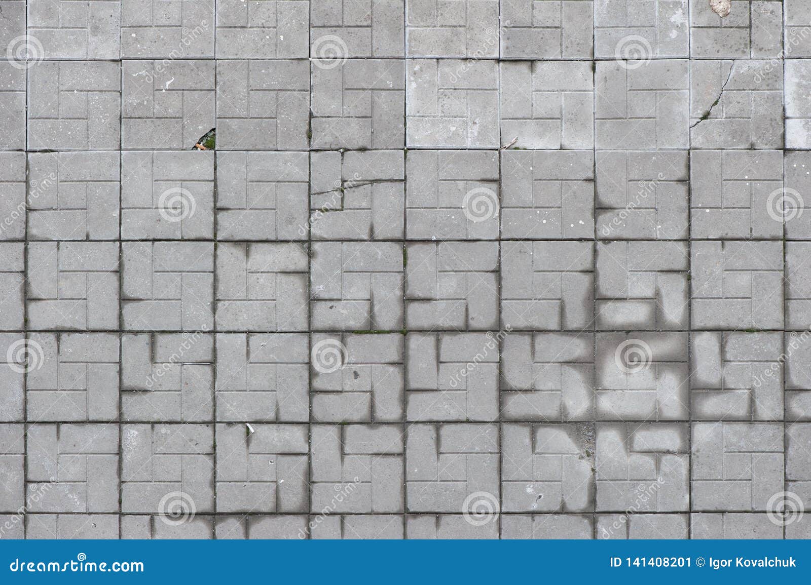 Paving stones with garbage stock image. Image of detail - 141408201