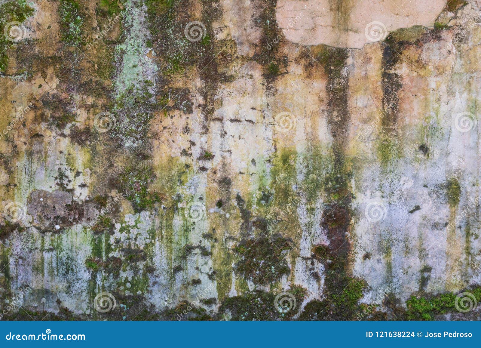 Texture of old forest wall stock photo. Image of fresh - 121638224