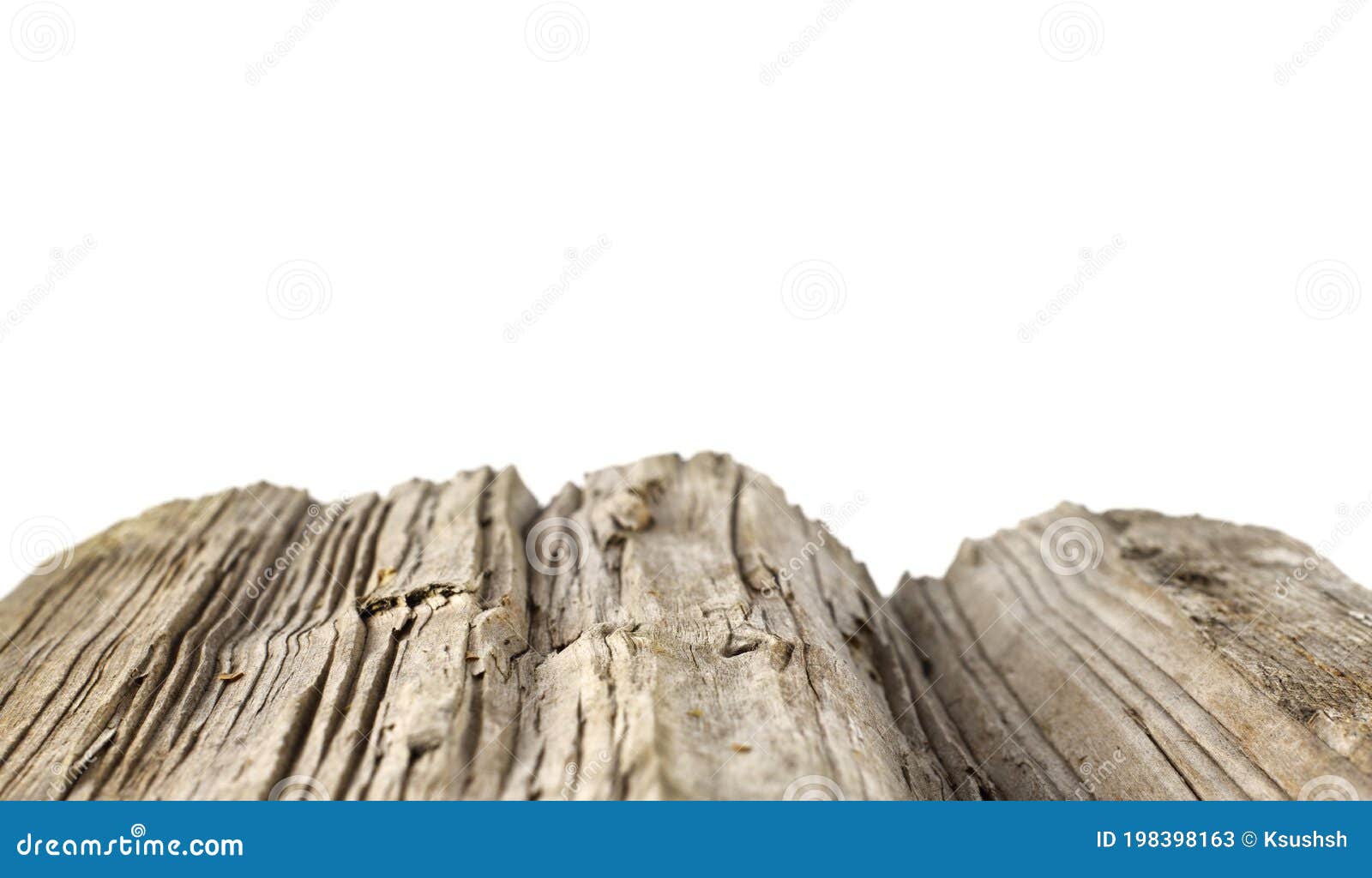 Texture of Old Gray Log in Perspective View Stock Image - Image of ...