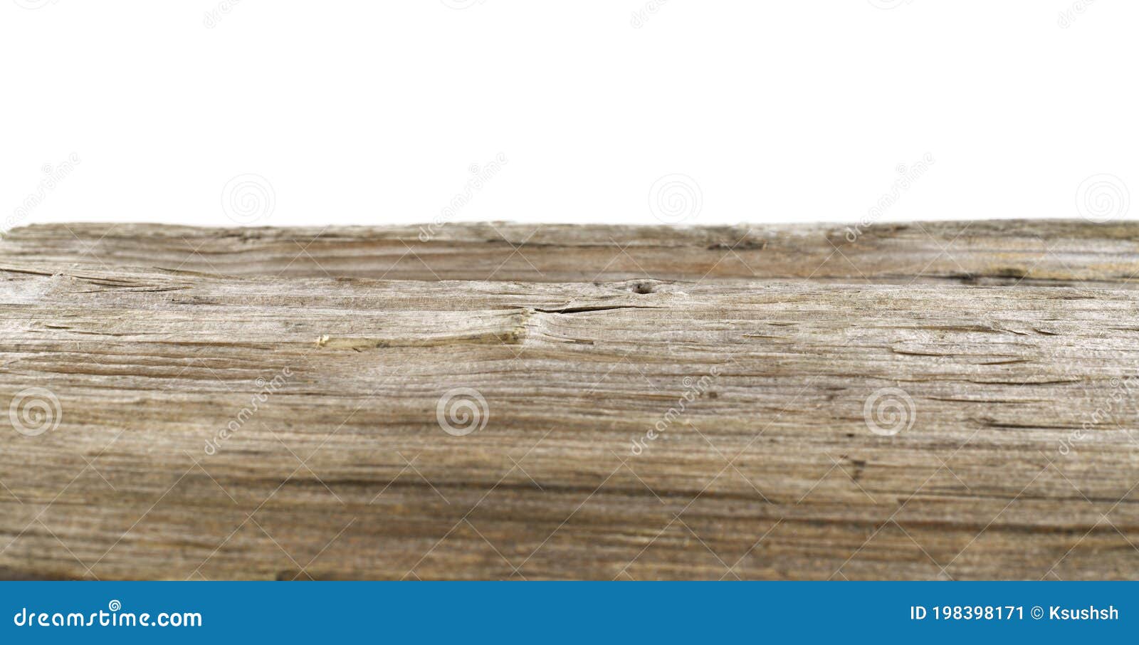 Texture of Old Gray Log on White Background Stock Image - Image of ...