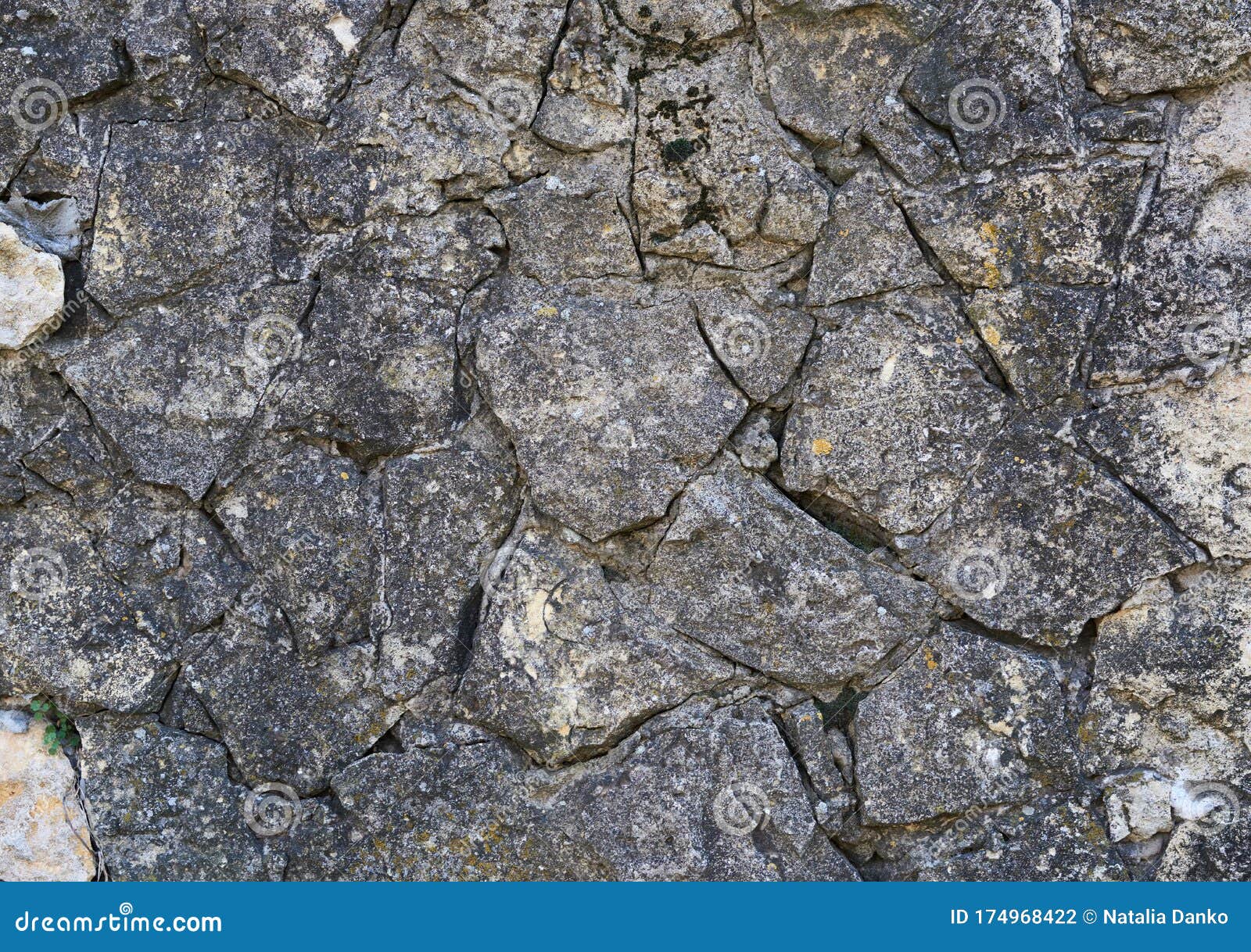Texture of the Old Gray Masonry of Gray Stones of Various Shapes, Full ...