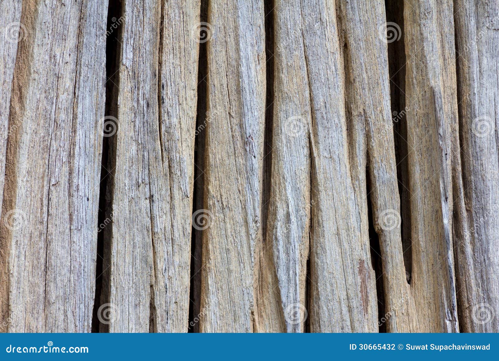 Texture old groove timber stock photo. Image of boards - 30665432