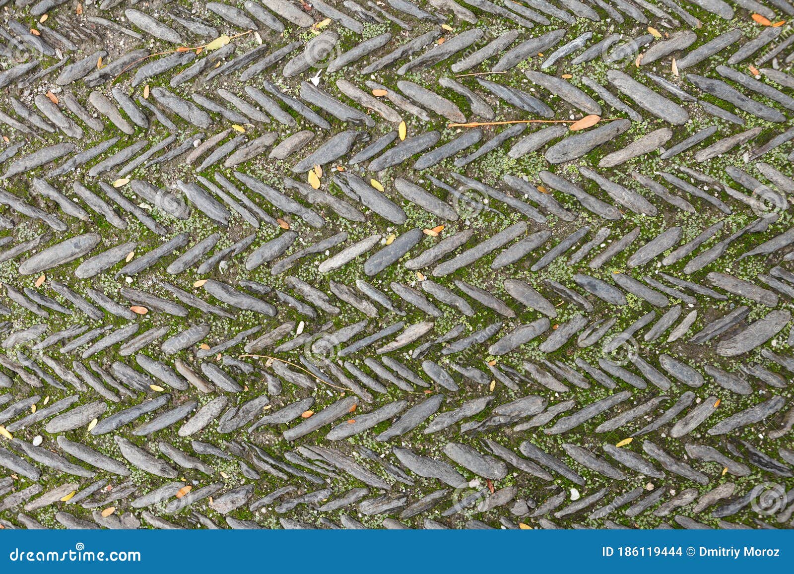 The Texture of the Old Herringbone Pavement of Cobblestones Stock Photo ...