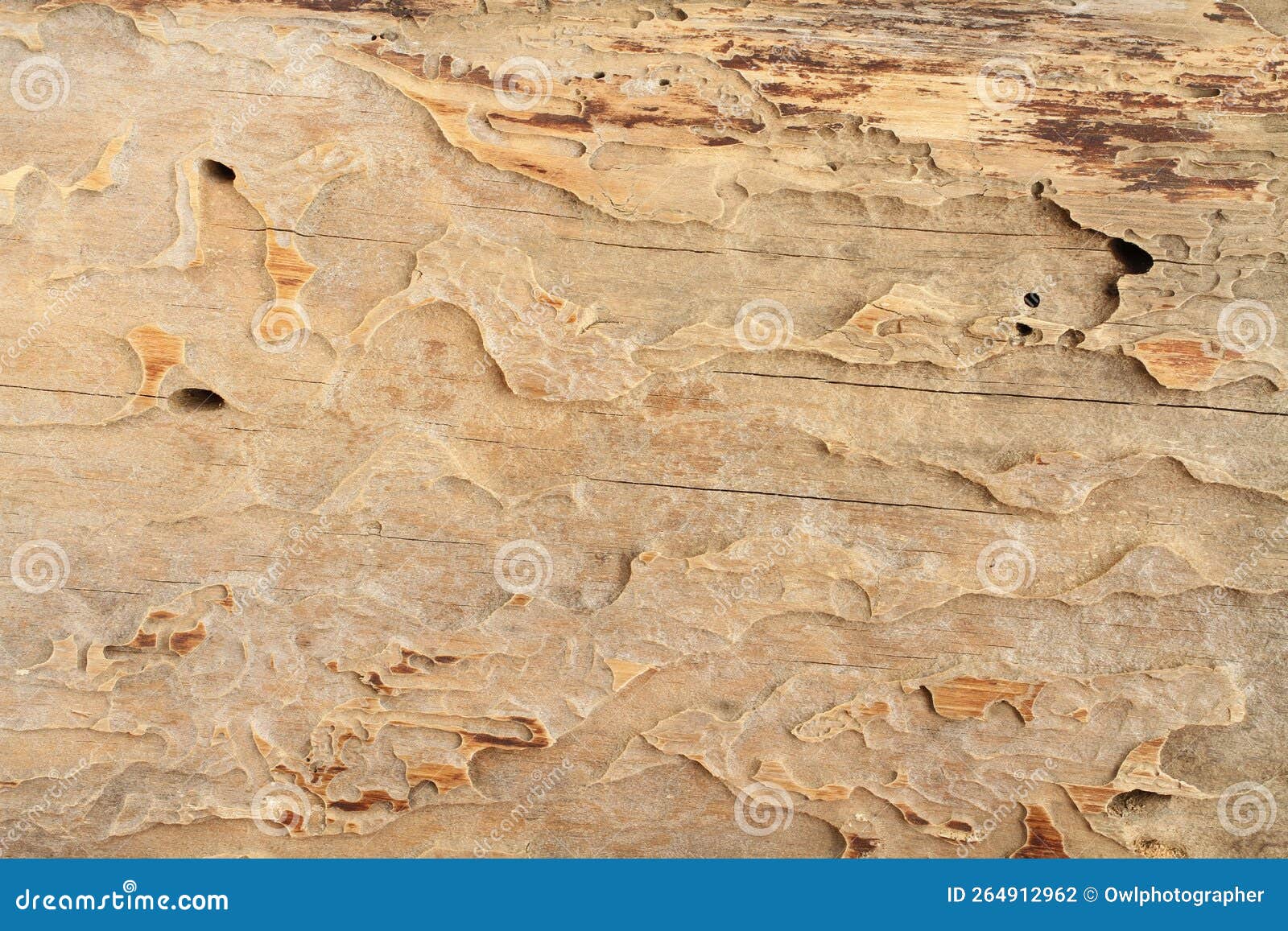 Texture - Old Light Brown Corroded Wood Stock Photo - Image of ancient ...