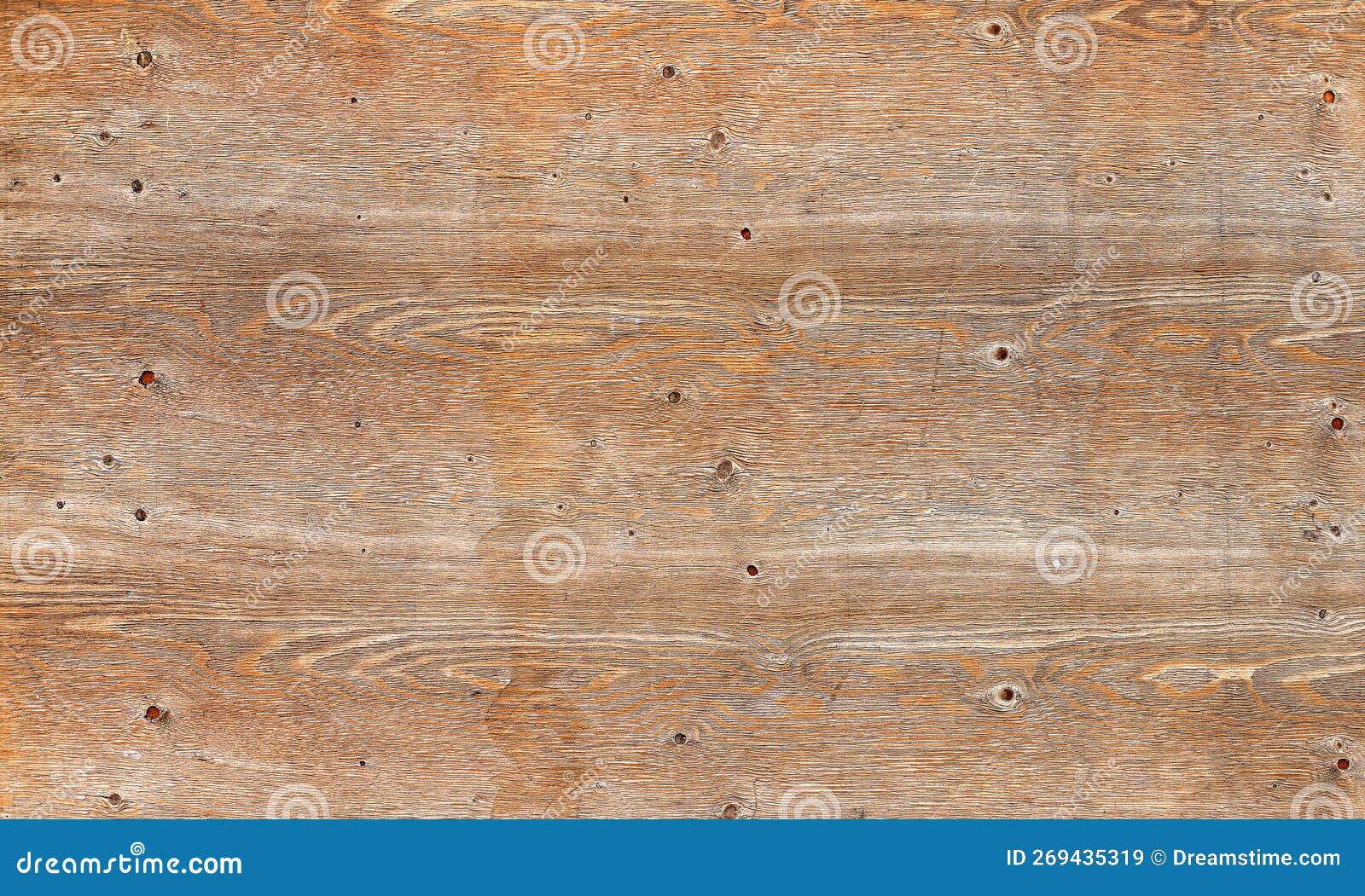 Texture of an Old Light-colored Veneer Sheet with a Lot of Knots As a ...
