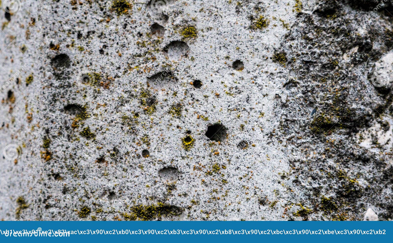 Texture of Old Macro Concrete Stock Photo - Image of concrete, grunge ...