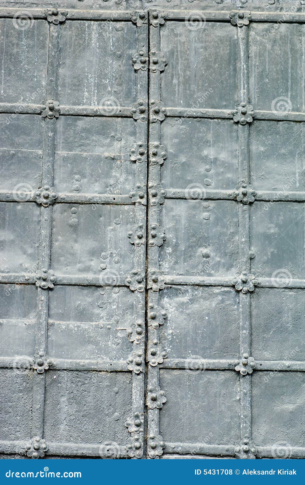Texture of old metal gates stock photo. Image of decorative - 5431708