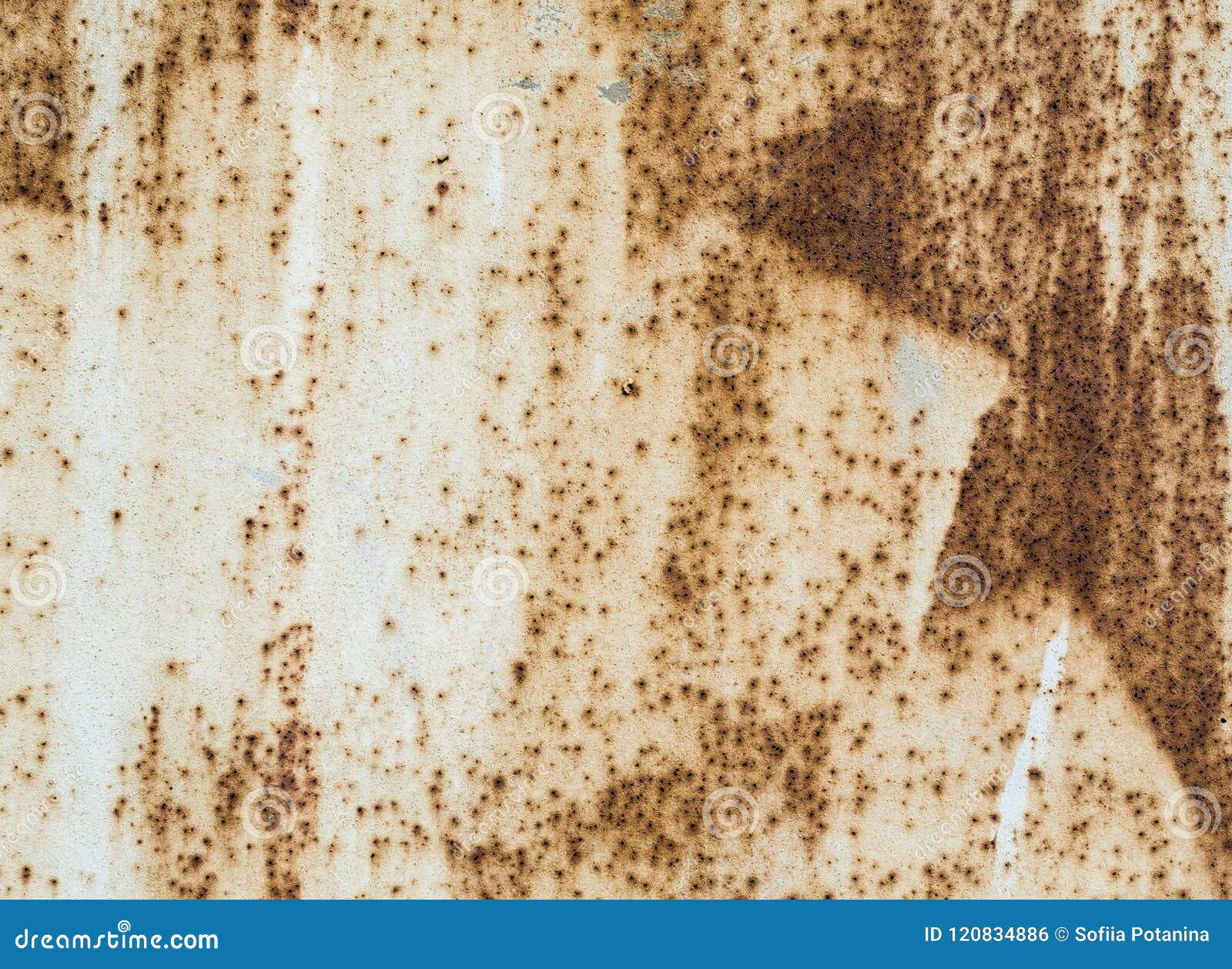 Texture Old Metal Surface Painted Beige Paint with Rust Stock Photo ...