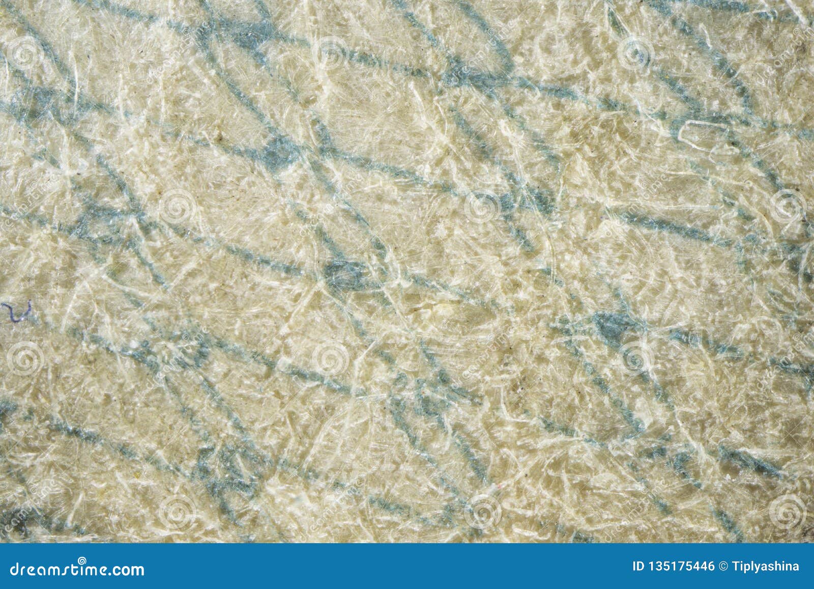 Texture of Old Money Banknote, Macro Shot Stock Photo - Image of ...