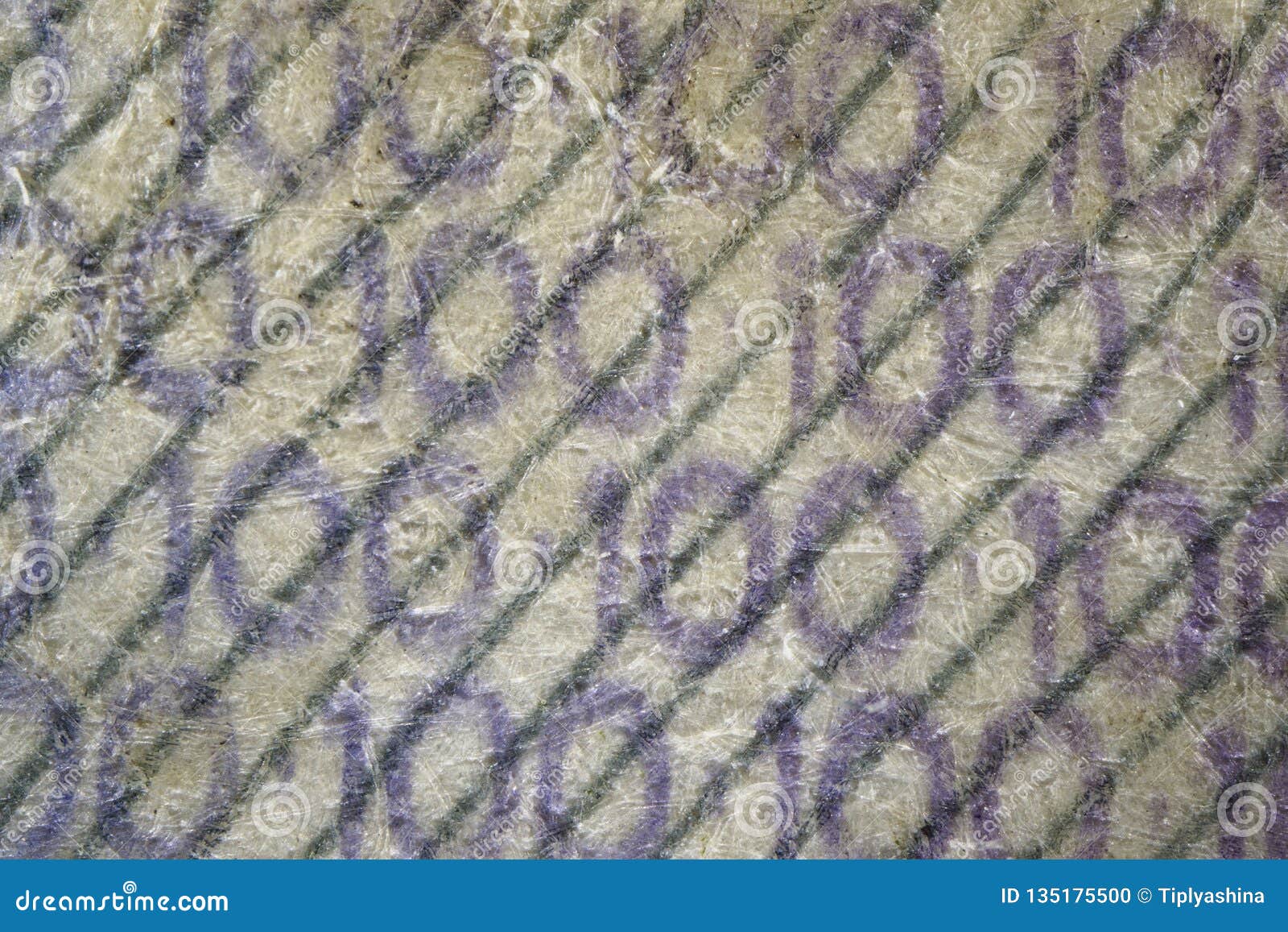Texture of Old Money Banknote, Macro Shot Stock Photo - Image of ...