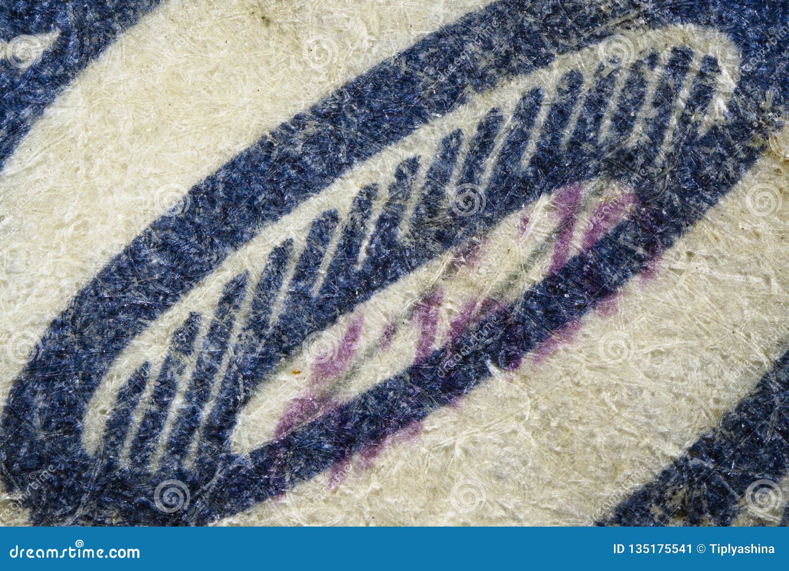 Texture of Old Money Banknote, Macro Shot Stock Image - Image of ...