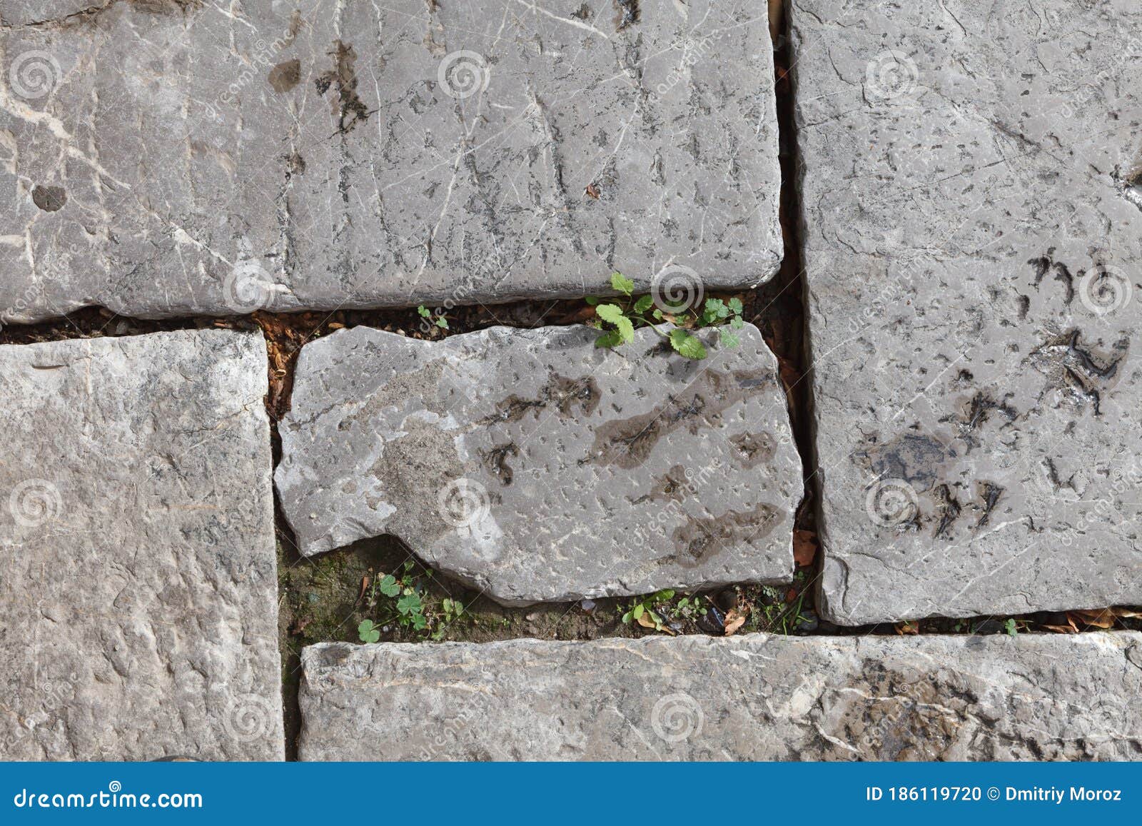 The Texture of the Old Pavement of Pavers Stock Photo - Image of paving ...