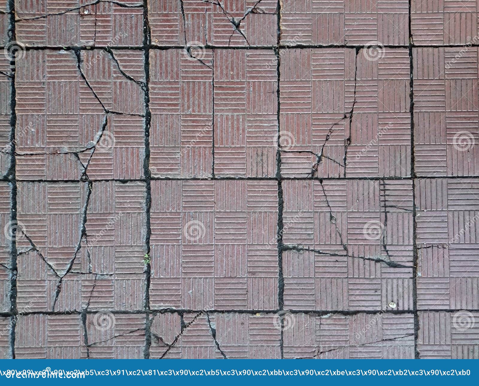 Texture of Old Paving Slabs Stock Image - Image of square, frontally ...