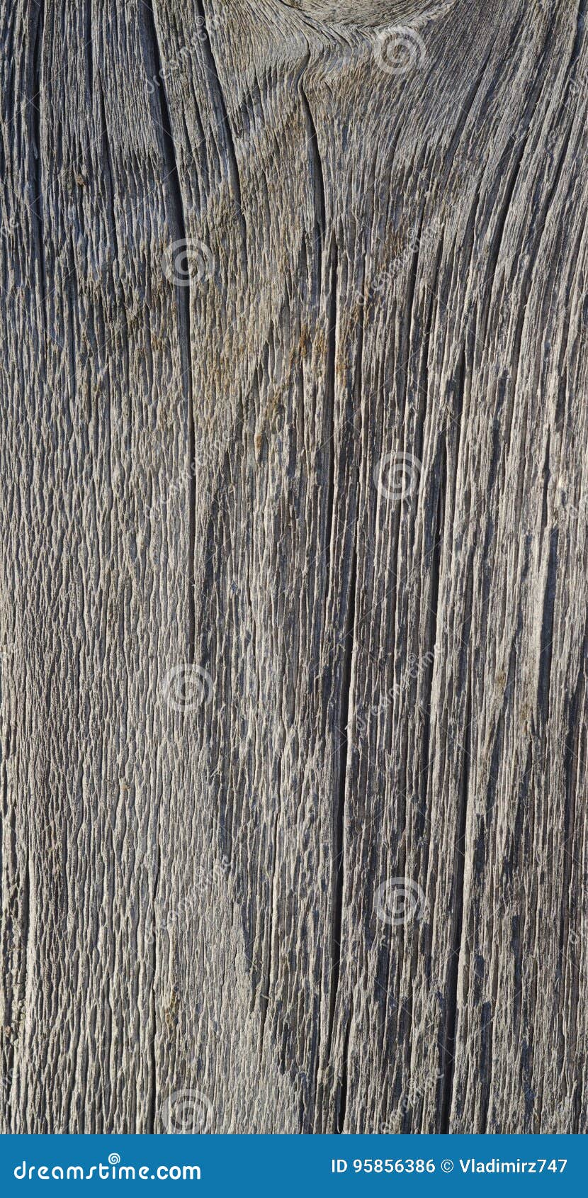 Texture of the Old Rough Wood Stock Photo - Image of nature, branch ...