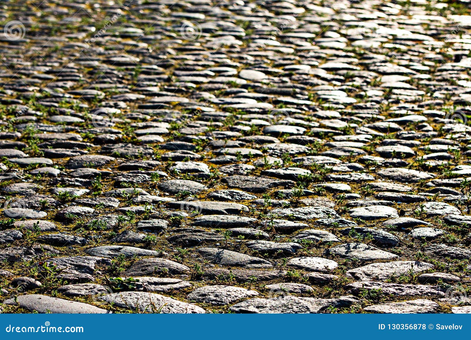 Texture Old Round Paving Stone Stock Photo - Image of closeup, green ...
