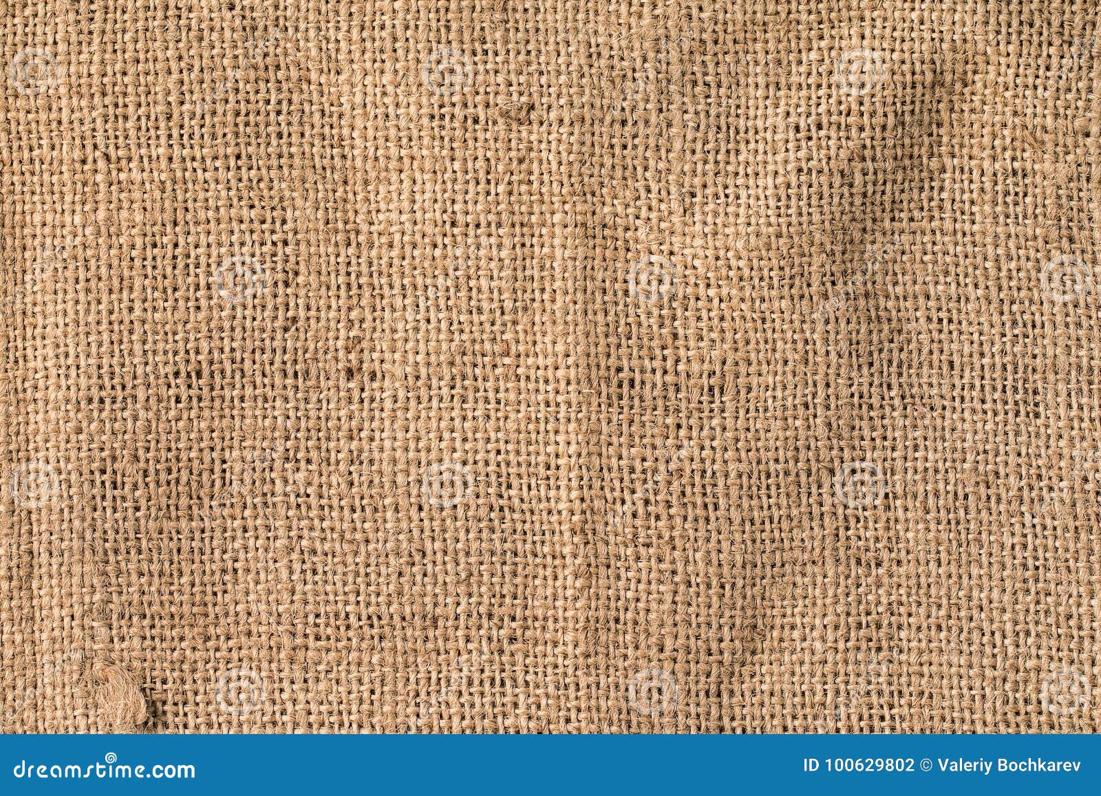 Texture of the Old Rustic Sackcloth for Background Stock Photo - Image ...