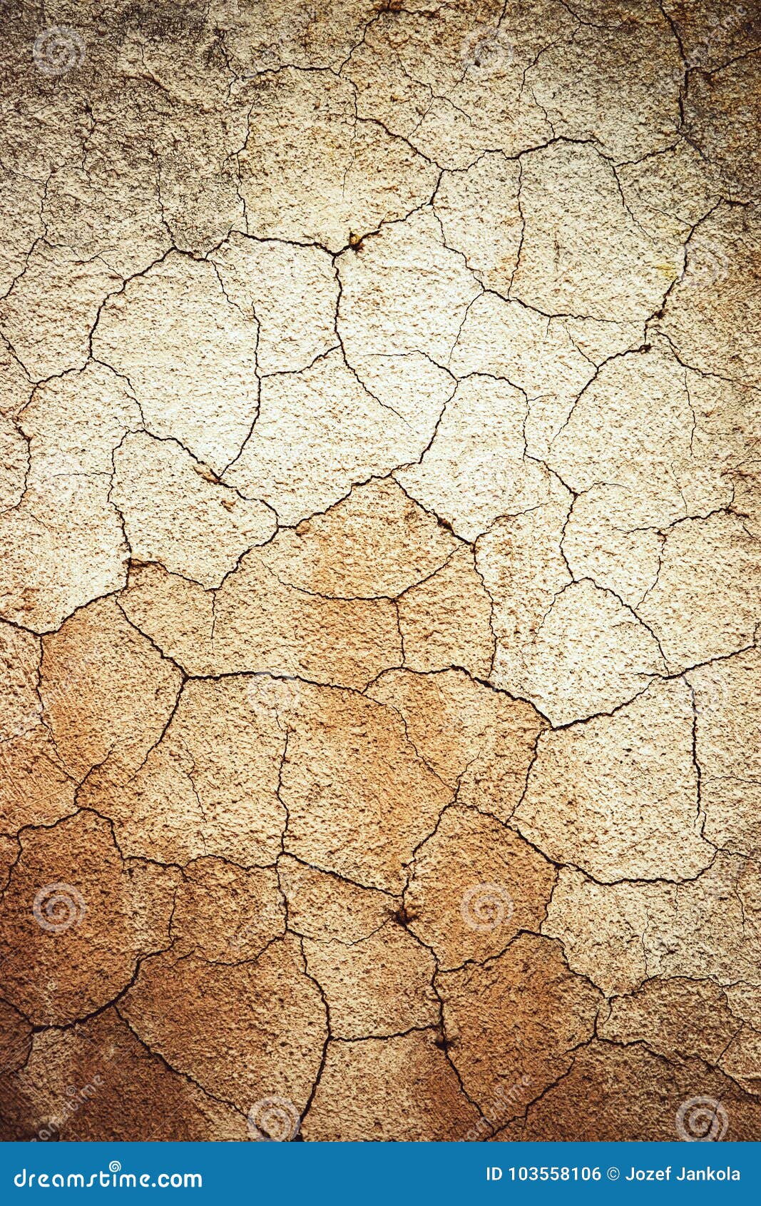Texture old sandy plaster stock photo. Image of grunge - 103558106