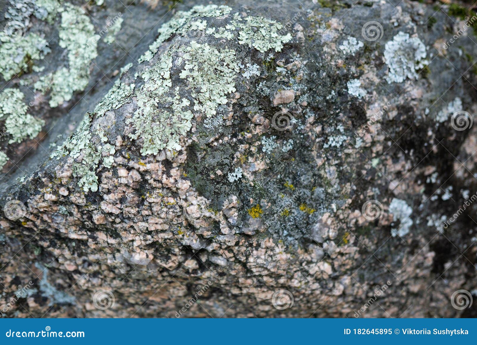 The Texture of the Rock Stone Cliff that is Overgrown with Moss ...