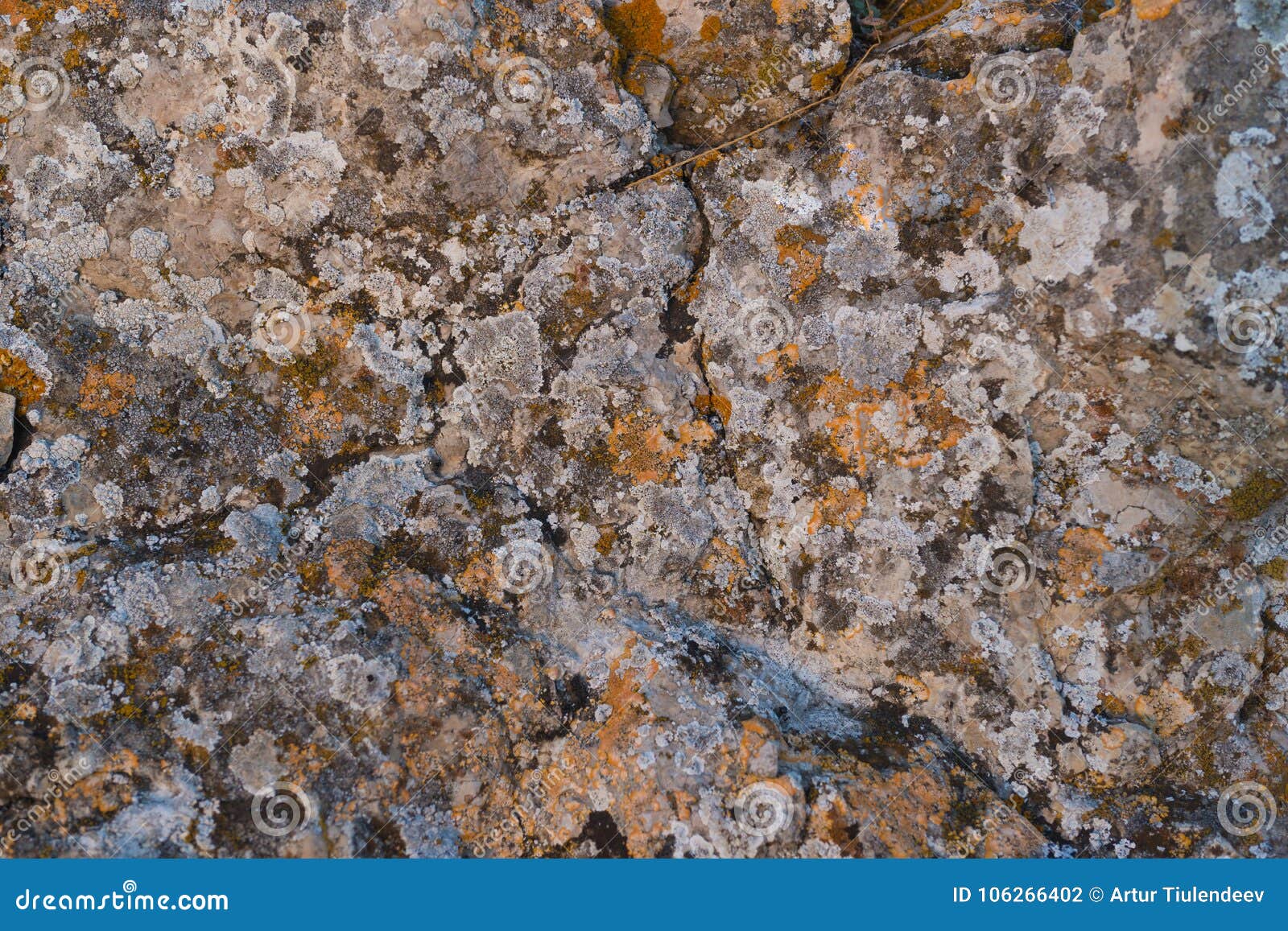 Texture of Old Stone with Moss Growing Stock Photo - Image of mold ...
