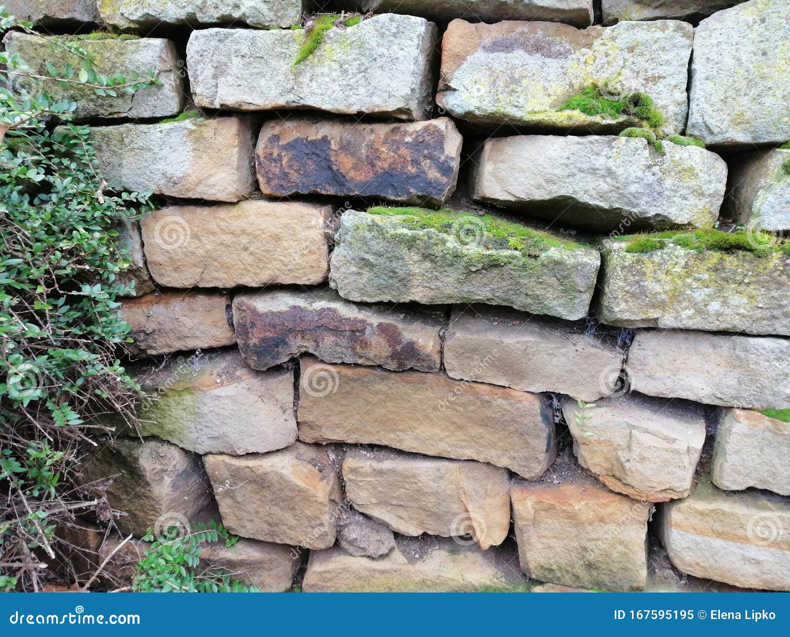 Texture of the Old Stone Wall with Moss. Stock Image - Image of ancient ...