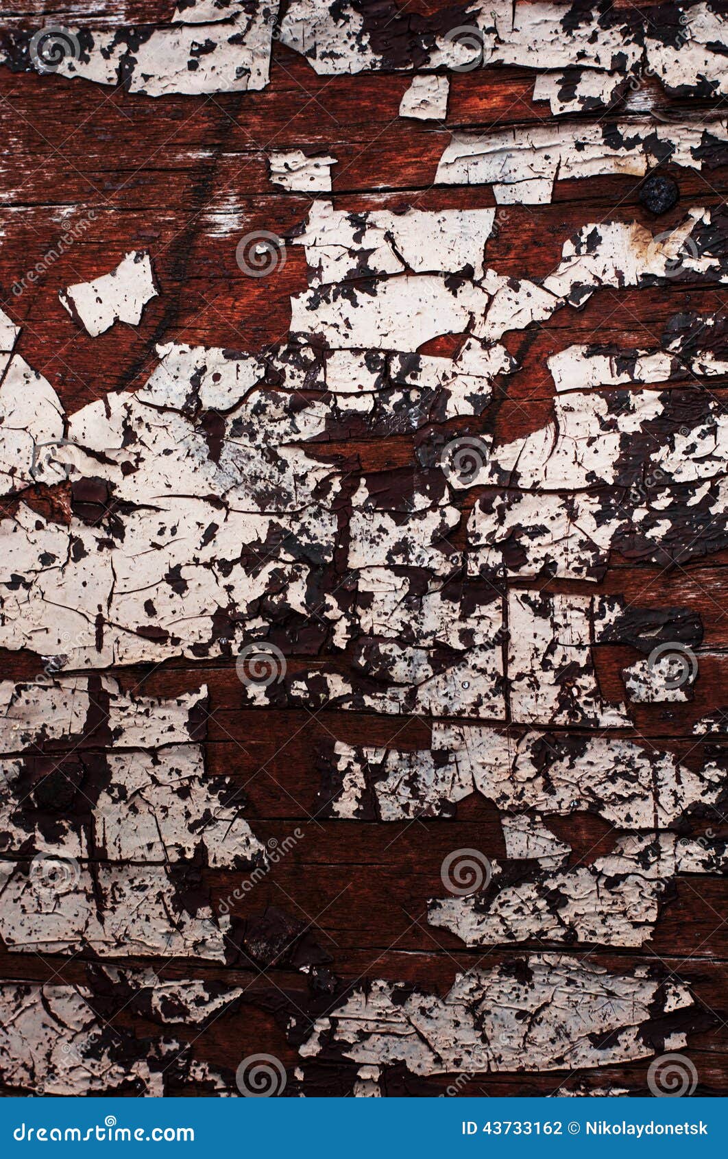 Texture old tree stock photo. Image of scratch, stylish - 43733162