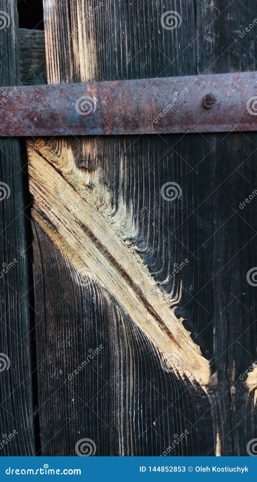 The Texture of the Old Tree and the Resin Vein Stock Image - Image of ...