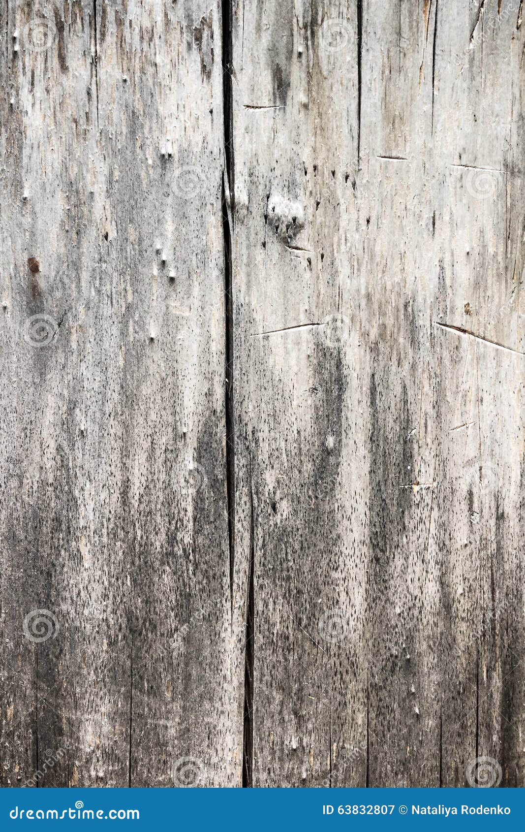 Texture of an old tree stock image. Image of vintage - 63832807