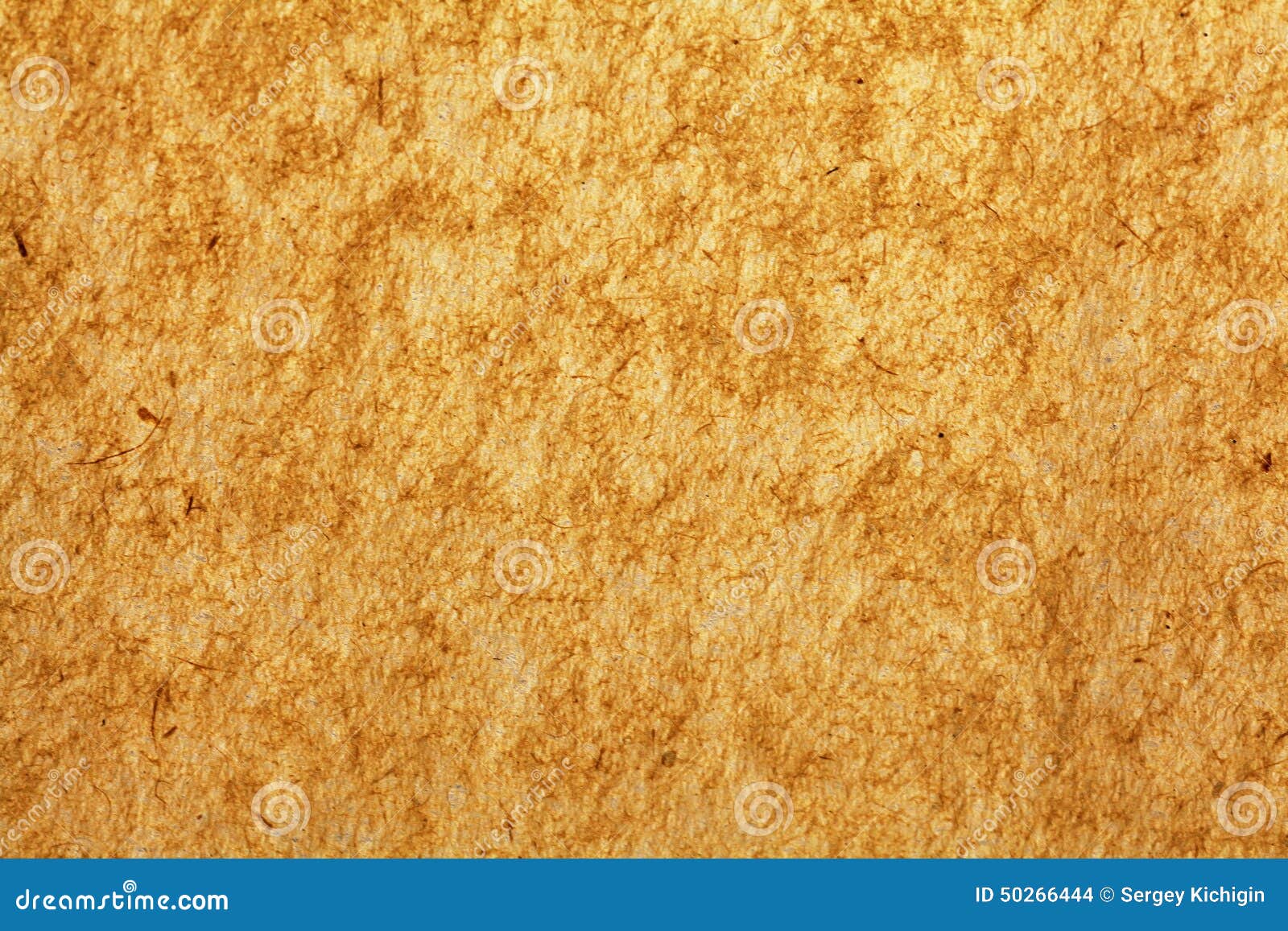 Texture Old Vintage Yellowed Paper, Writing Papers Stock Photo - Image ...