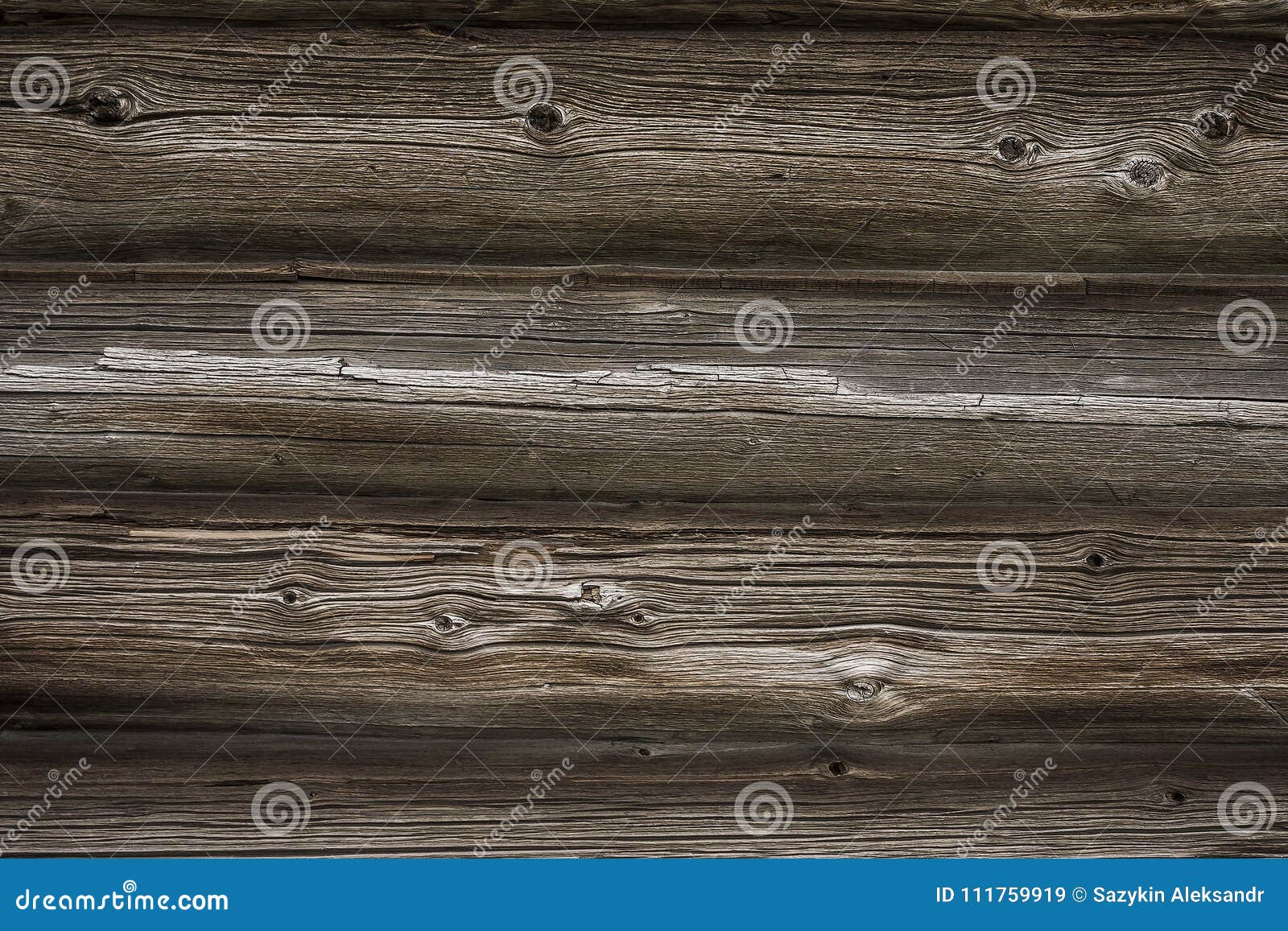 Texture Of Old Weathered Tree Close-up Outdoors Picture. Image: 111759919
