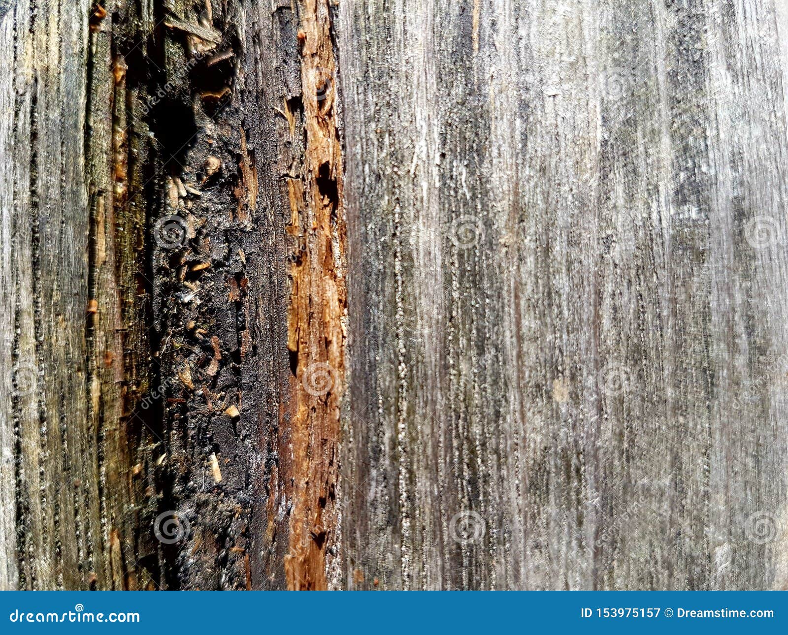 Texture of Old Weathered Wood Stock Image - Image of plank, abstract ...