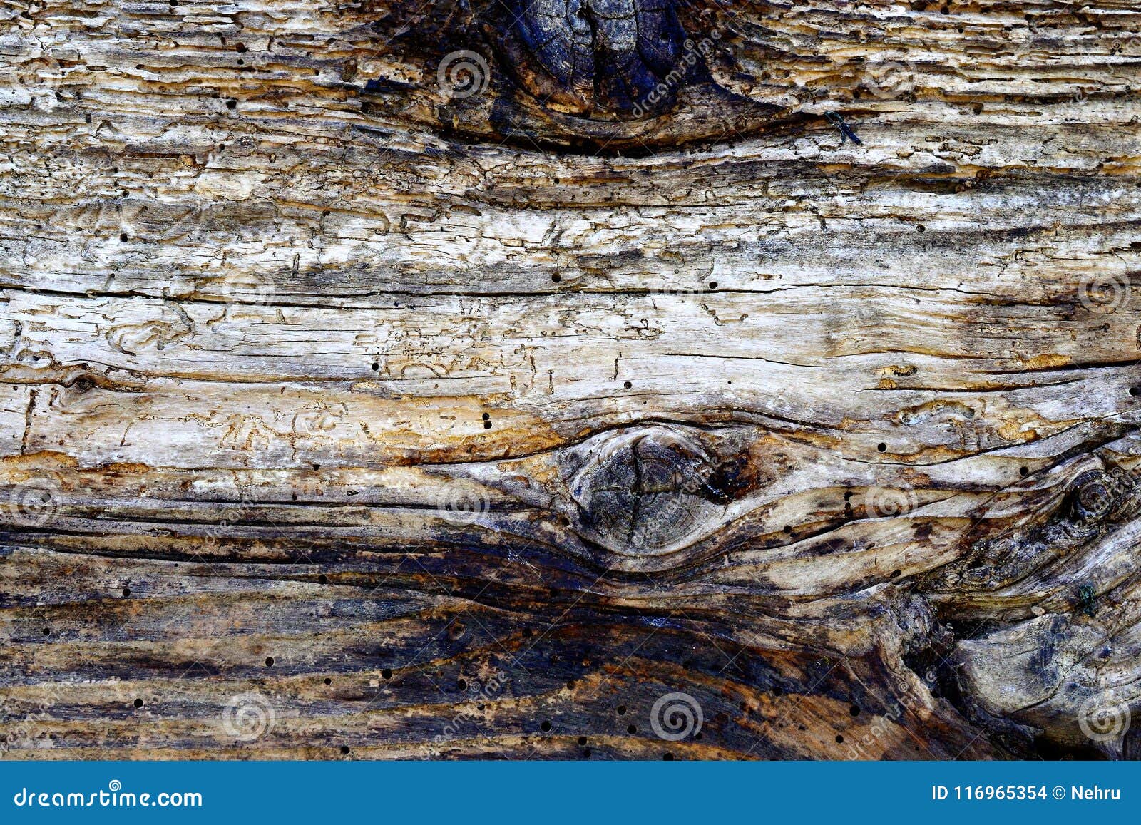 Texture of an Old Weathered Wood Panel Stock Photo - Image of interior ...