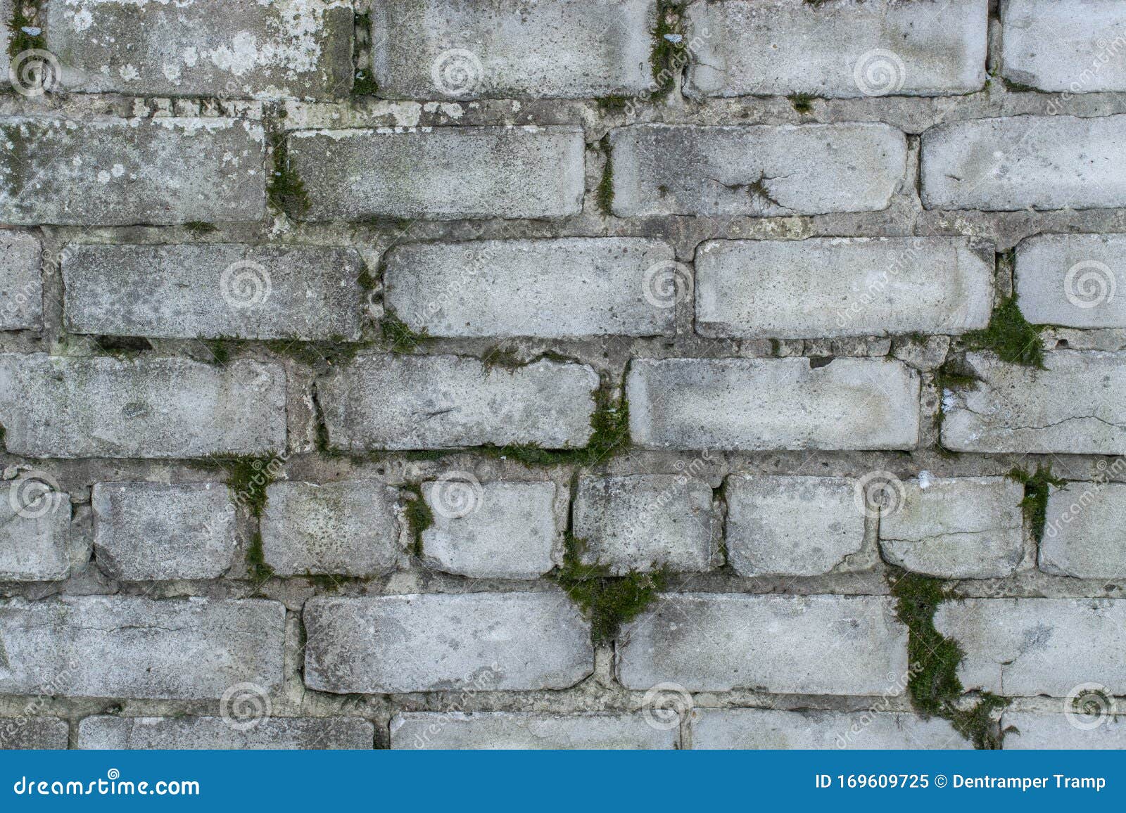 Texture of Old White Bricks with Cracks Covered with Green Moss Stock ...