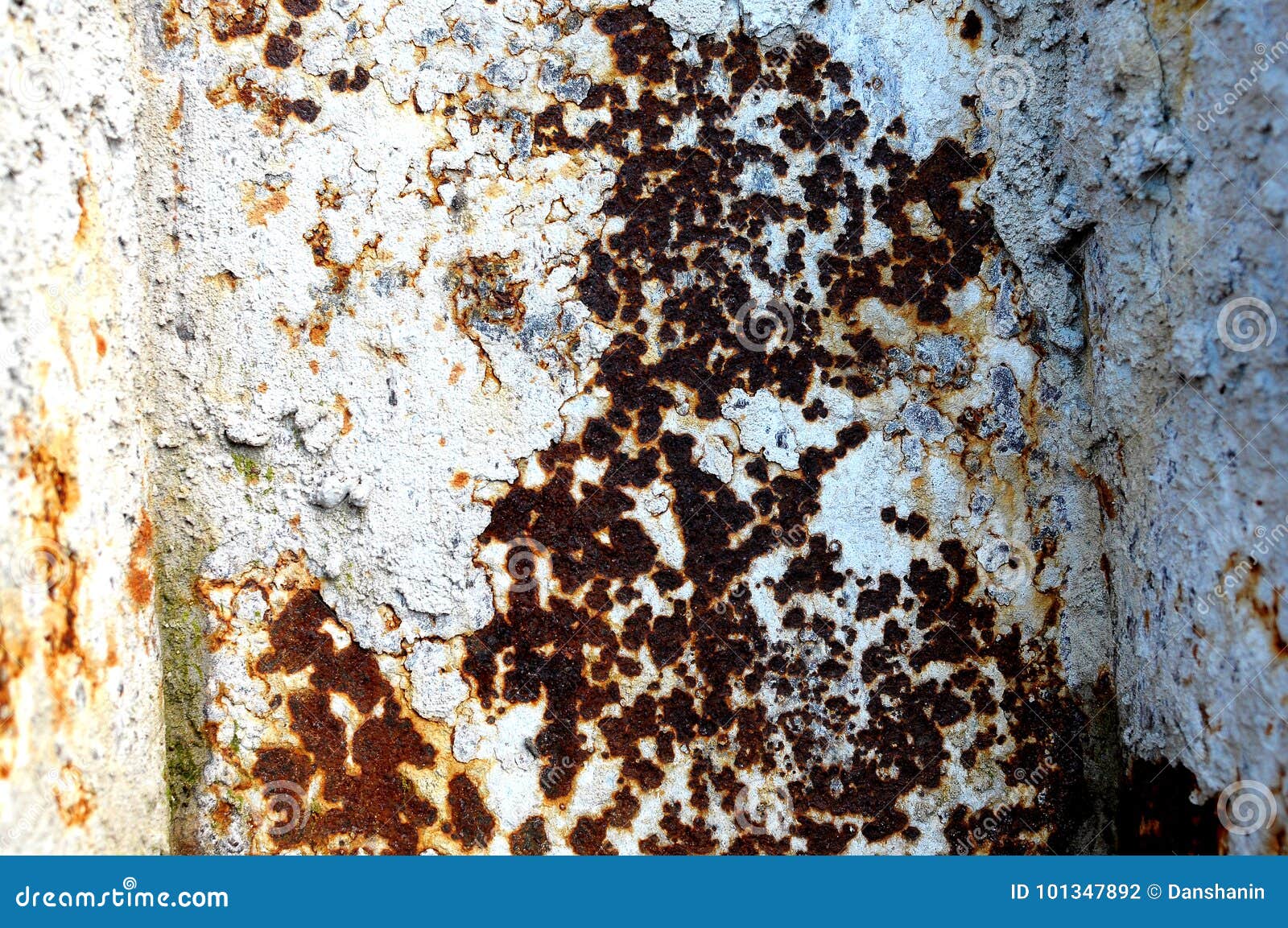 Texture of an Old White Rusted Metal Iron Sheet. Detailed Rust ...